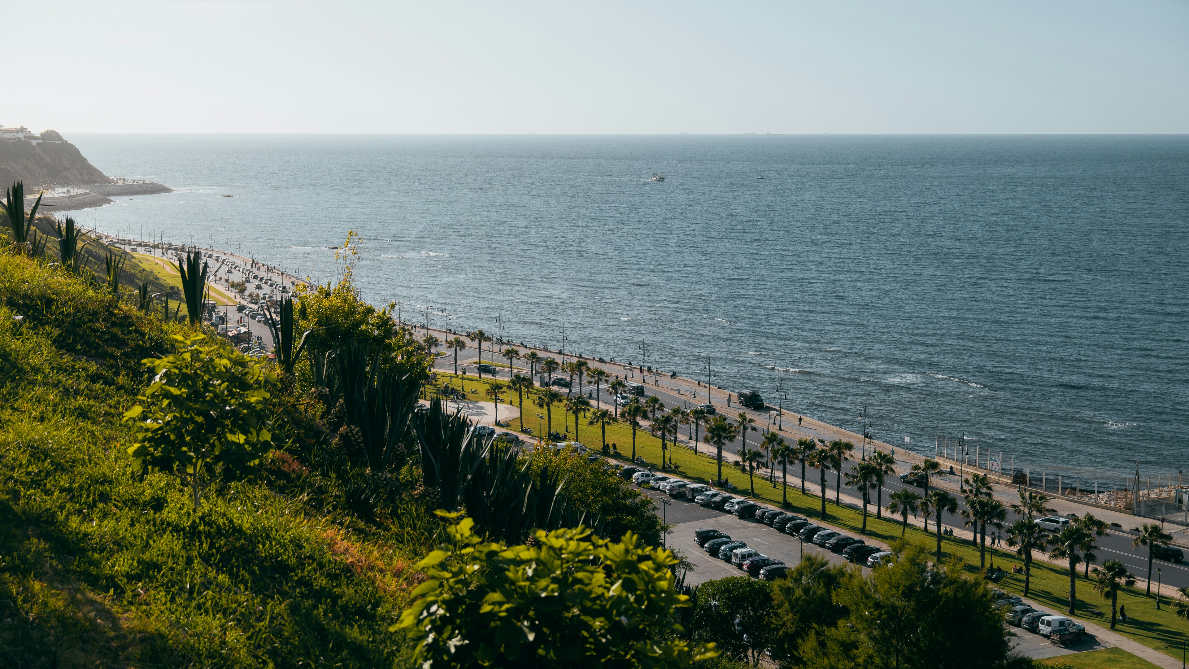 Seaside Promenade Slope: Coastline, Palm Trees, and Ocean Horizon