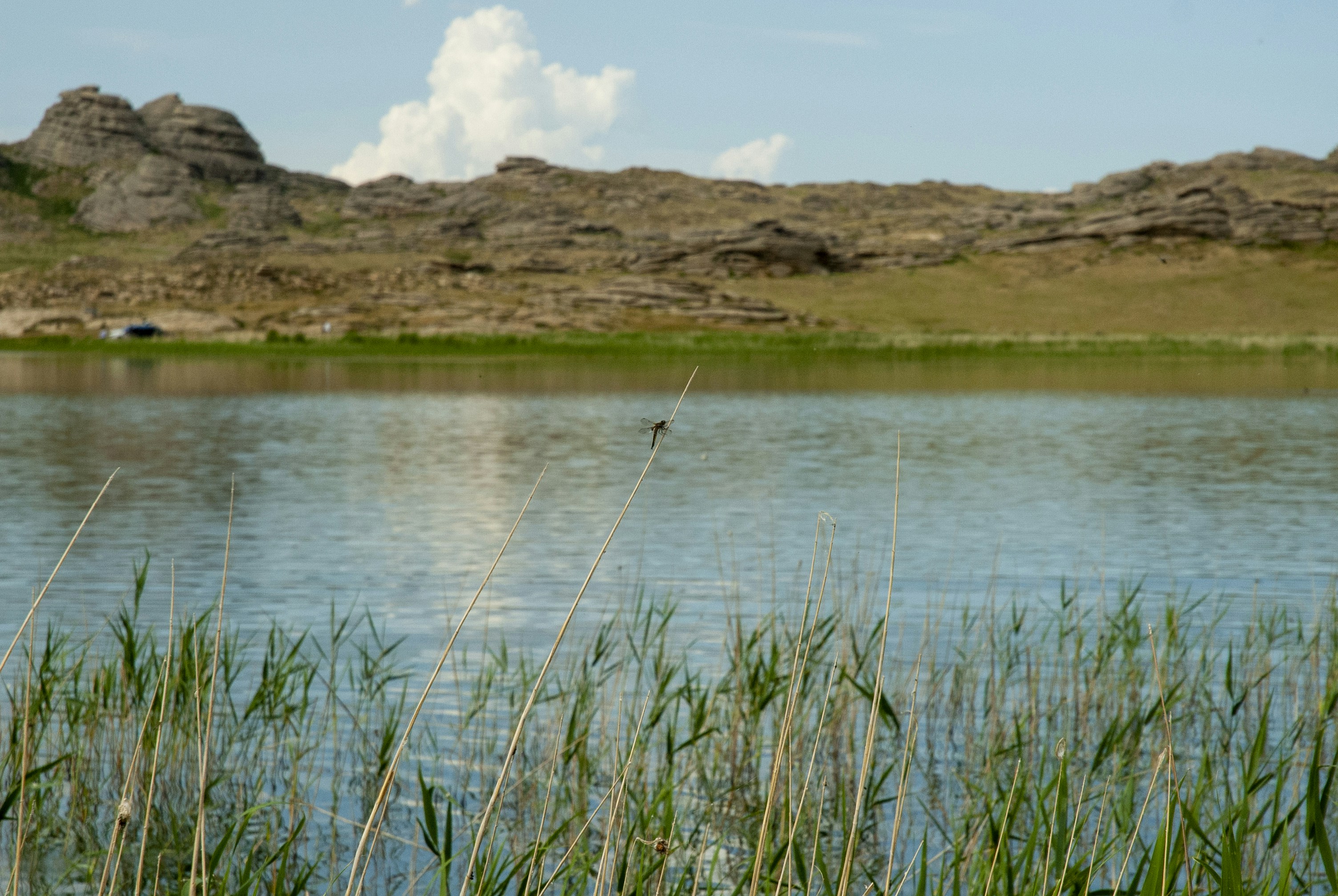 Lakeside Horizon: Reeds, Water, and Rugged Ridge