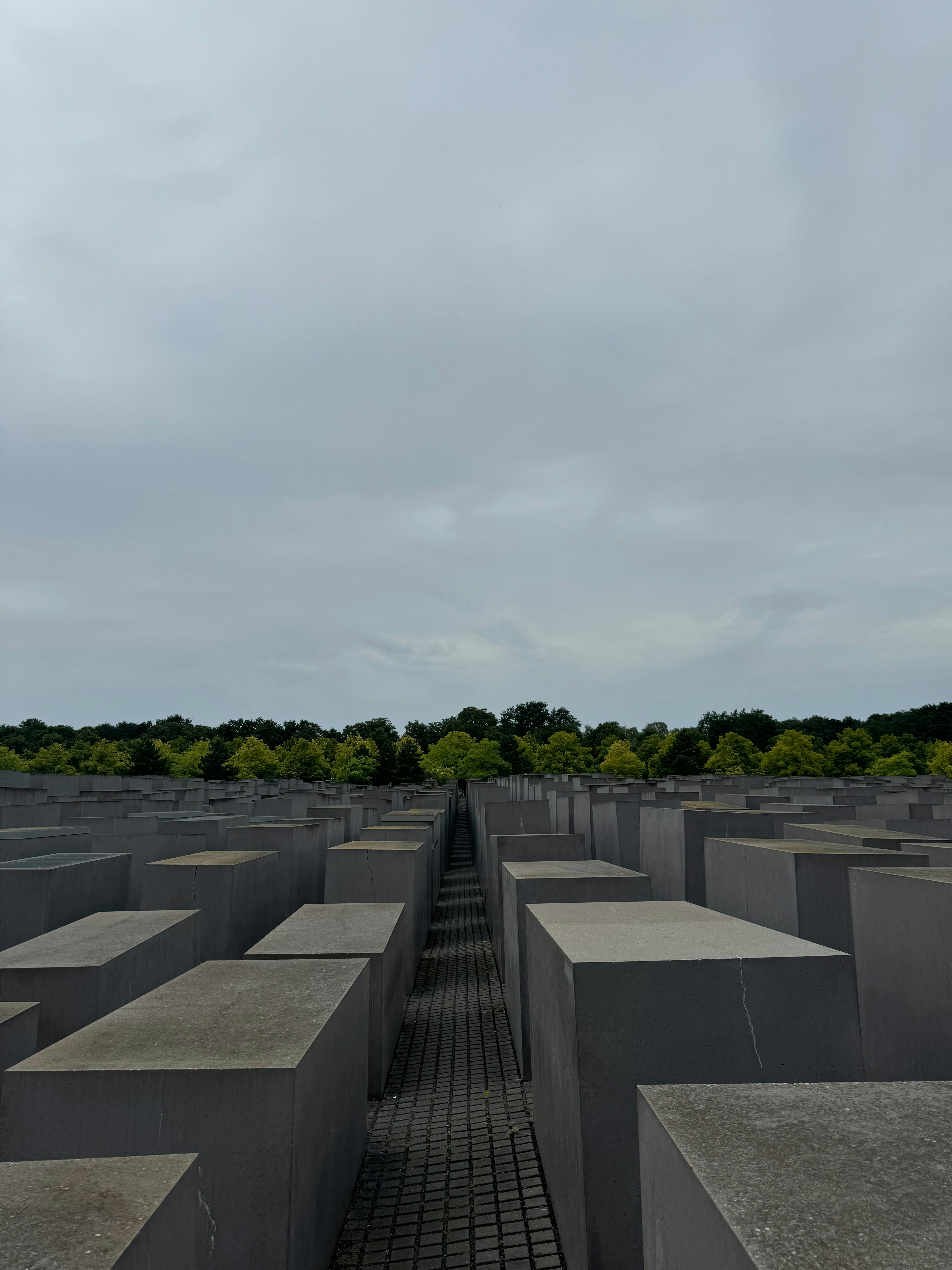 Stone Silence: A Sea of Monoliths under a Leaden Sky