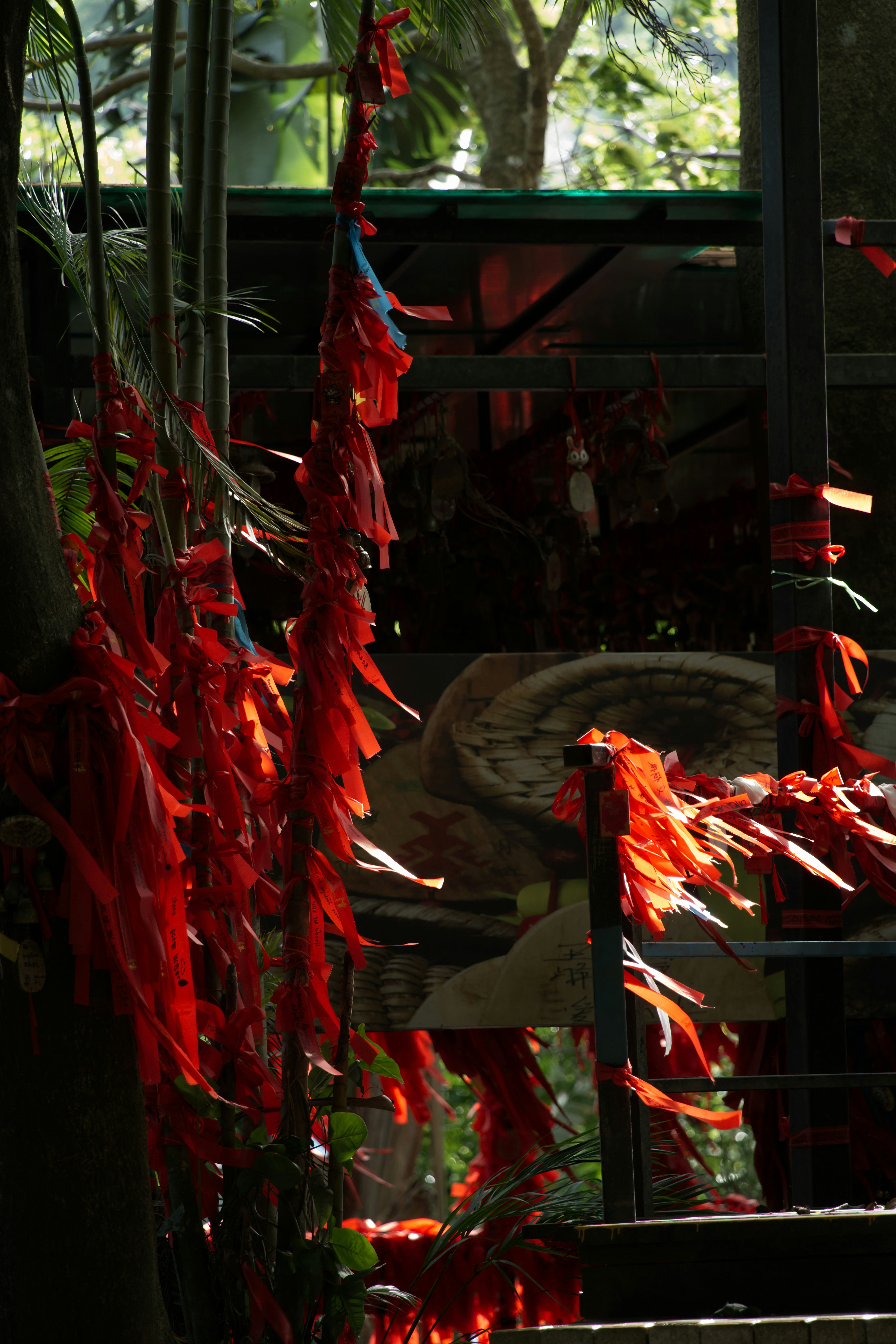 Red Ribbons and Hidden Shrine in Dappled Light