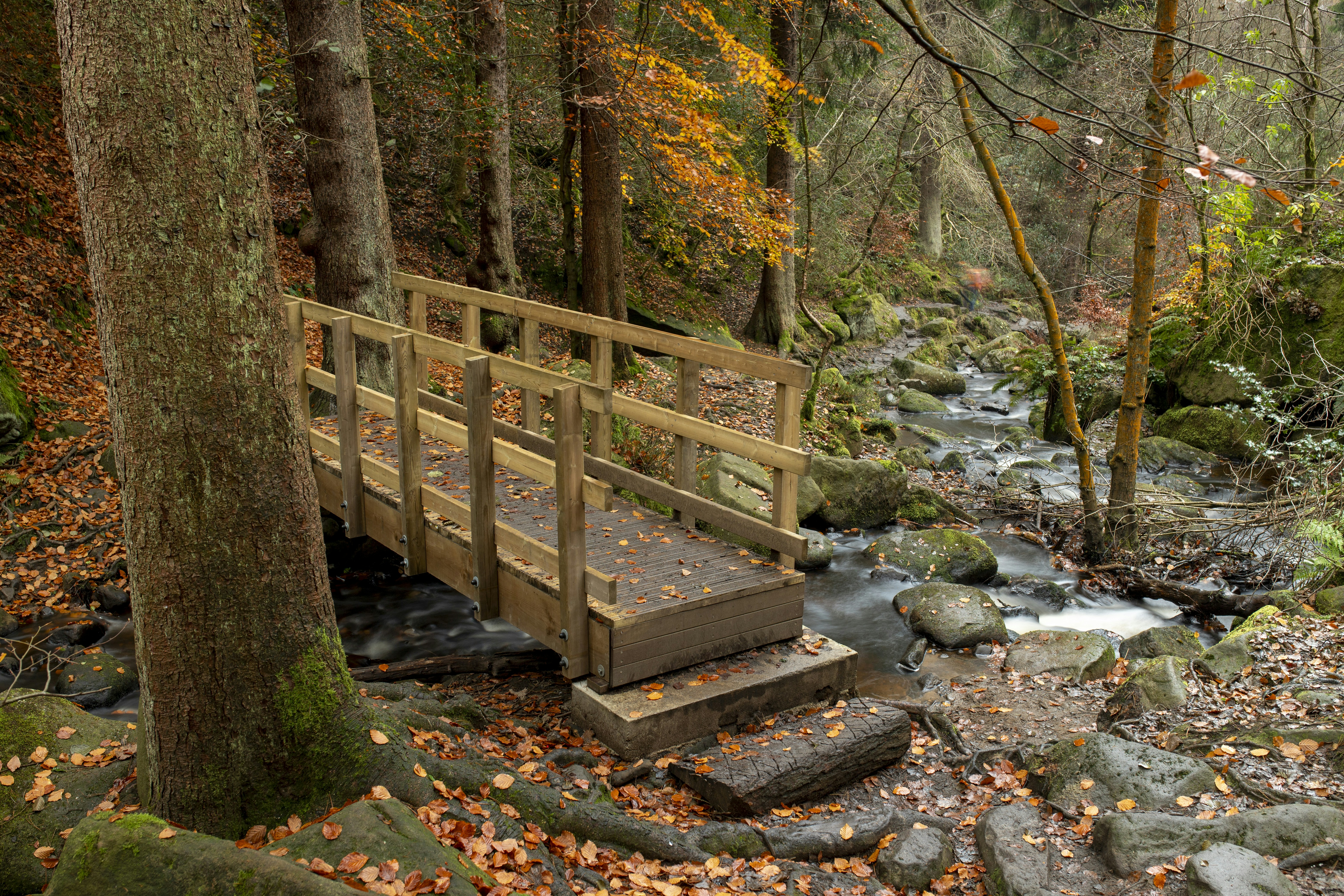 Autumn Span: A Quiet Wooden Bridge Over a Shifting Creek