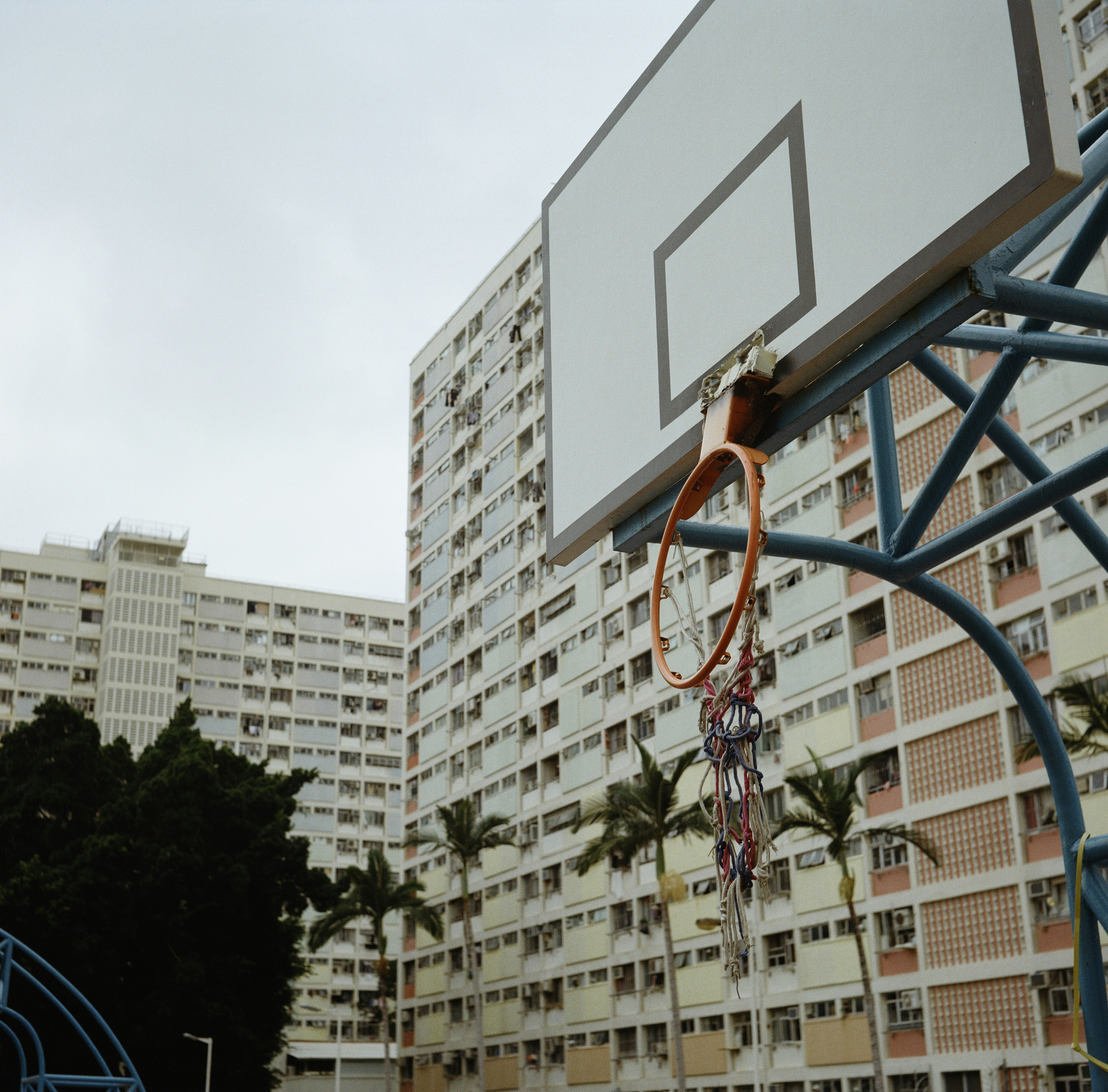 Basketball backboard and hoop against a backdrop of high-rise apartment blocks with palm trees, capturing an urban playground scene.