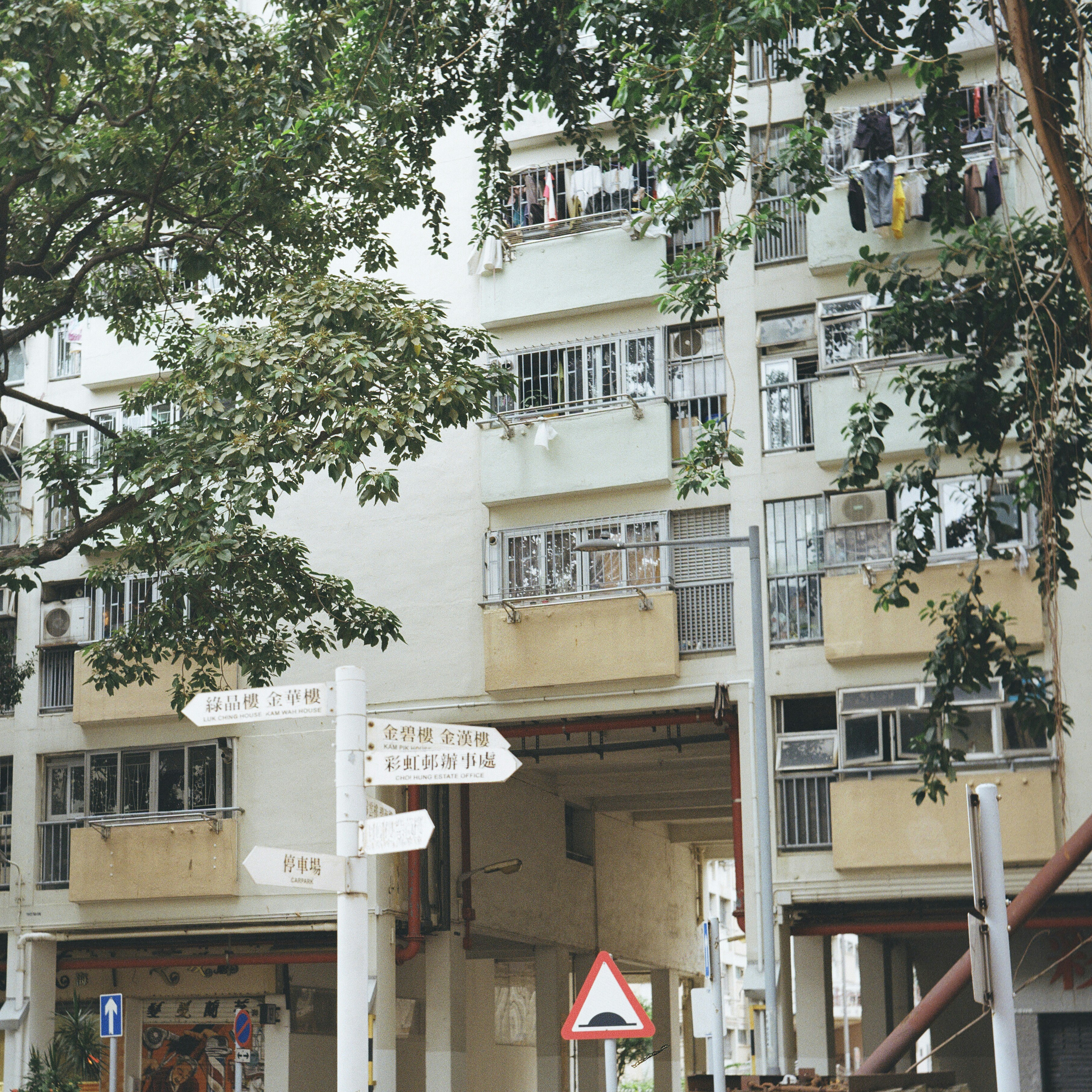 Inner courtyard resilience: balconies, laundry and trees above a sunlit apartment block