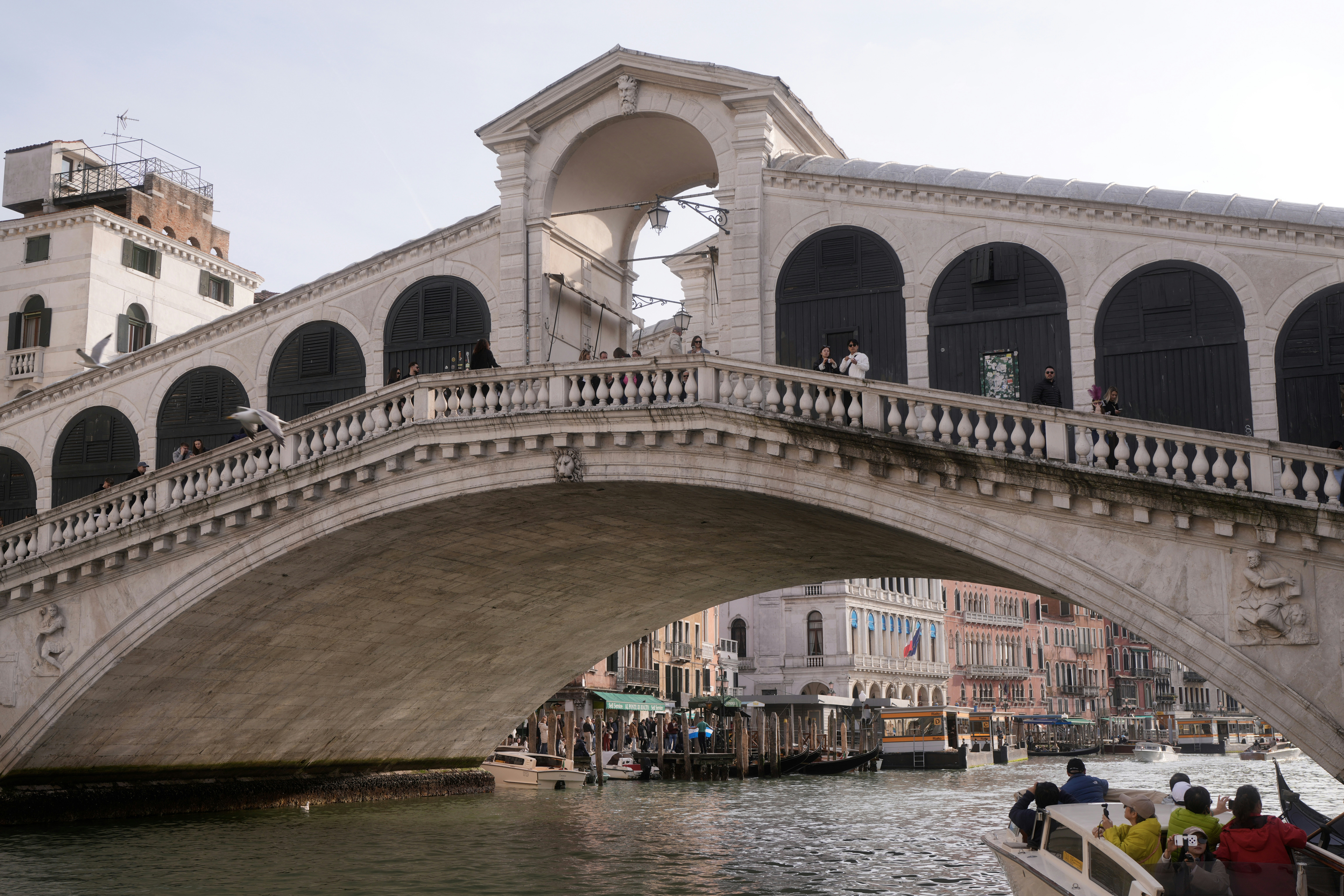 Bridge of Whispers: A Venetian Arc Over the Grand Canal