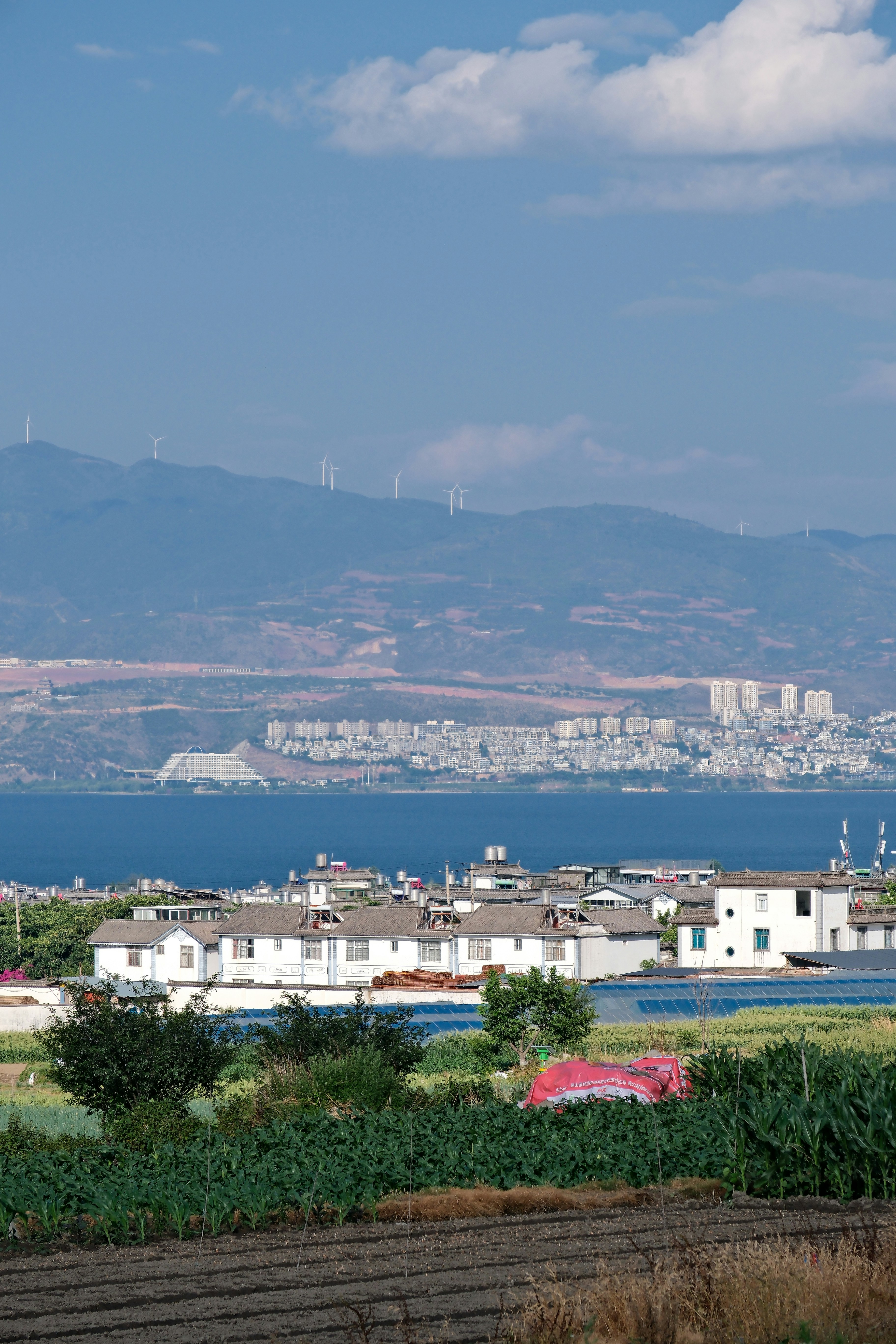 Laundry of windmills over distant hills and calm harbor