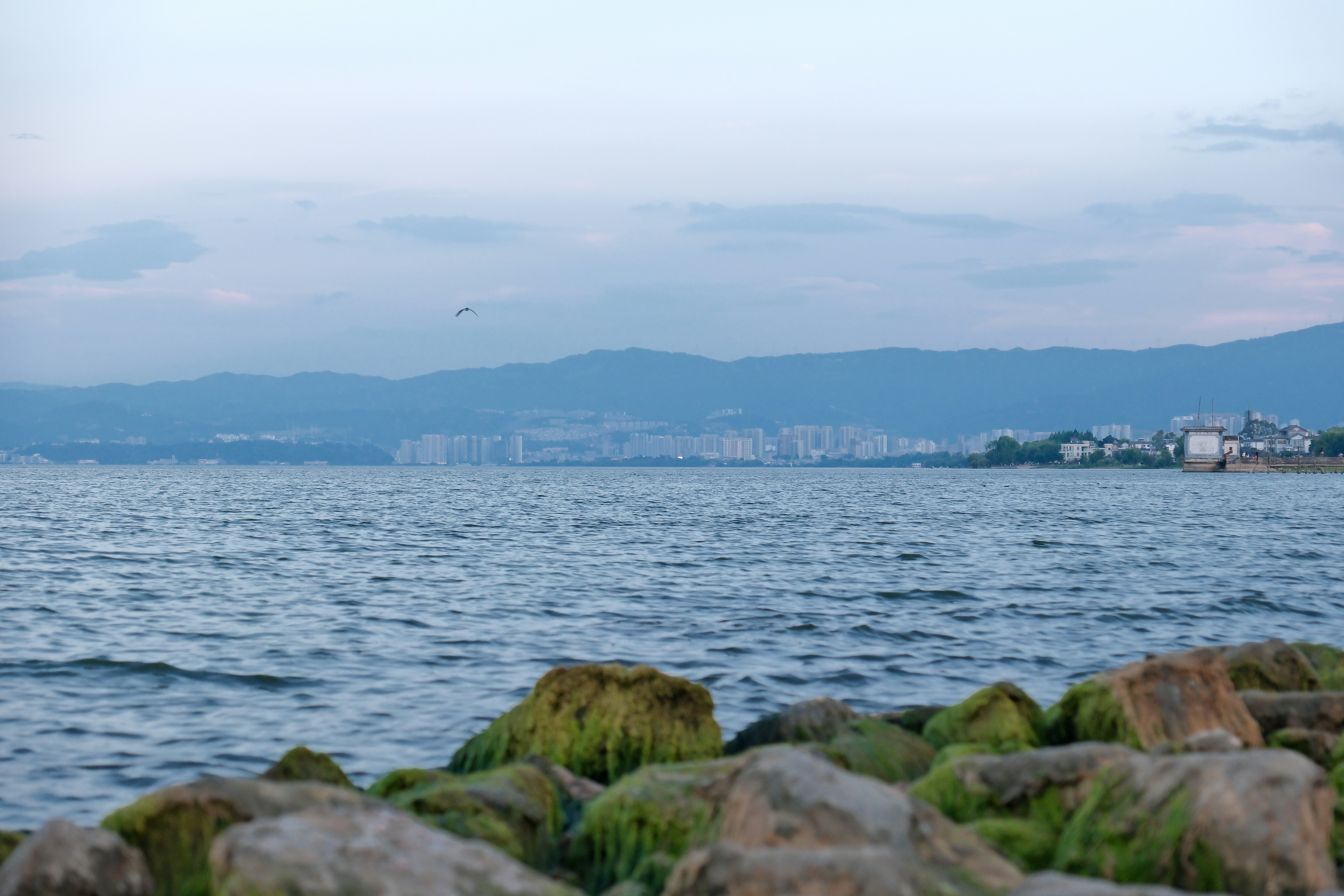 Sea view with moss-covered rocks and distant city skyline.