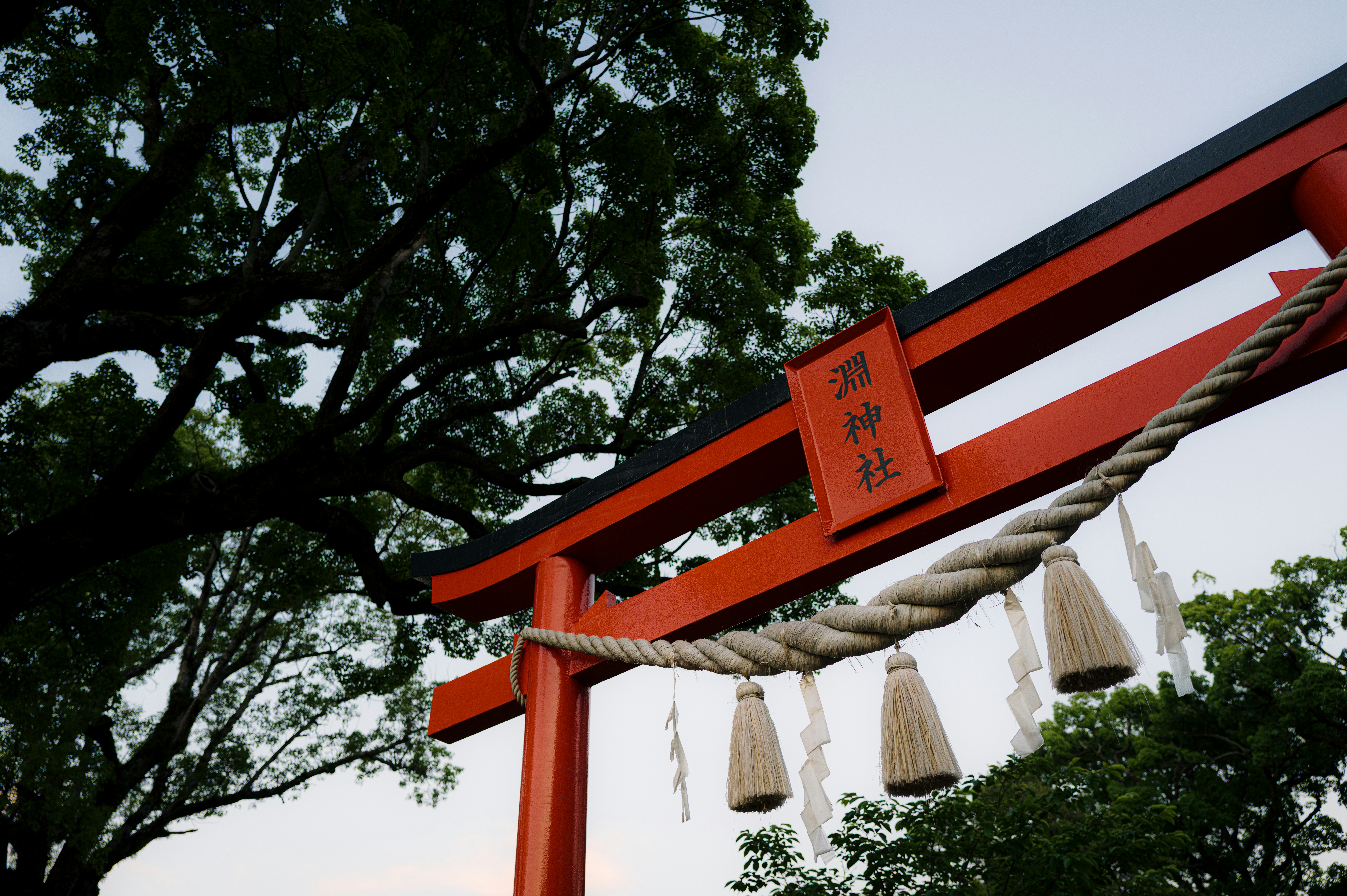 A red torii gate with shimenawa rope and large tree.