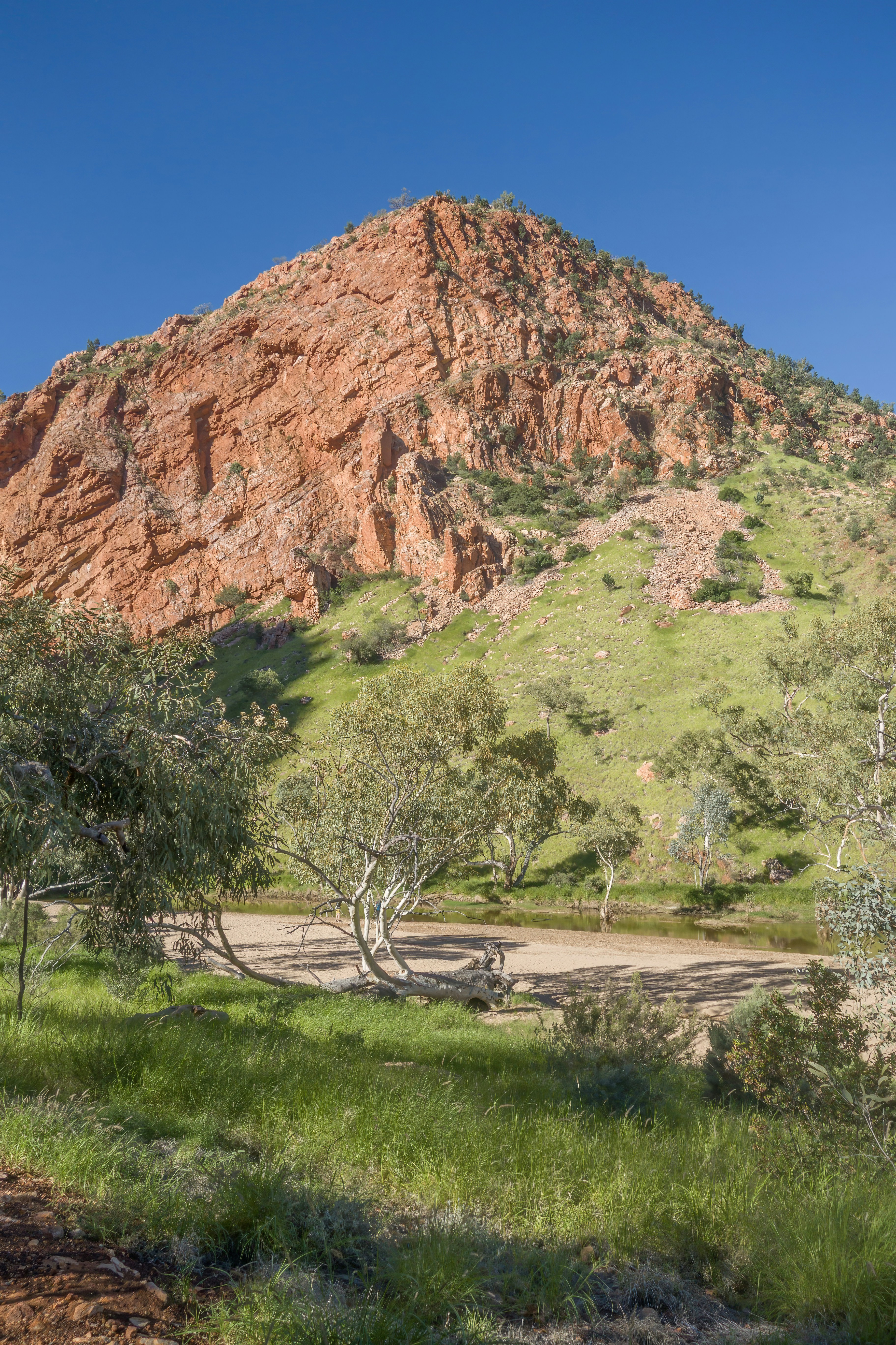 Red Ridge Rise: A Sunlit Cliff Surrounded by Green Slope