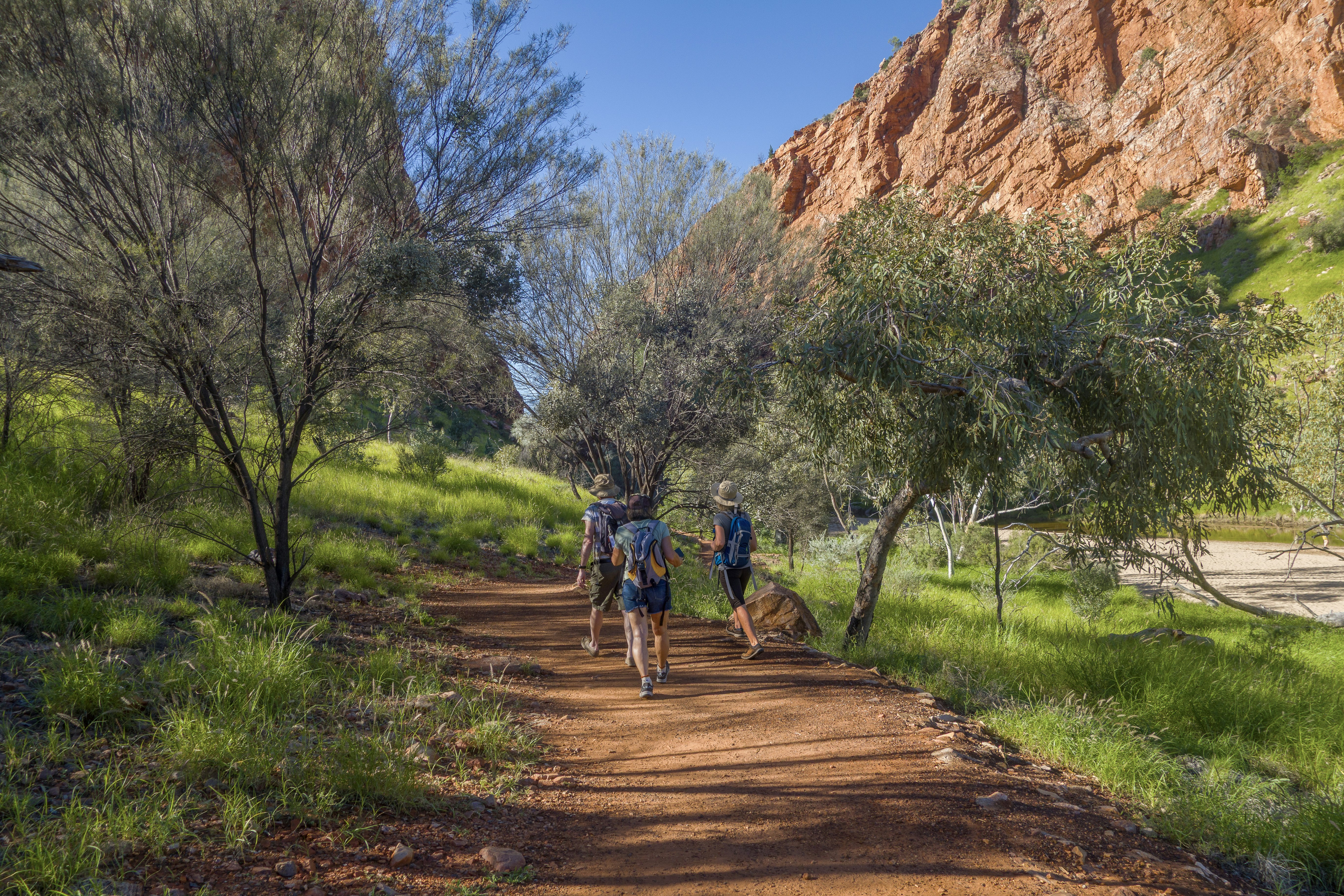Trailbound hikers under a canyon canopy