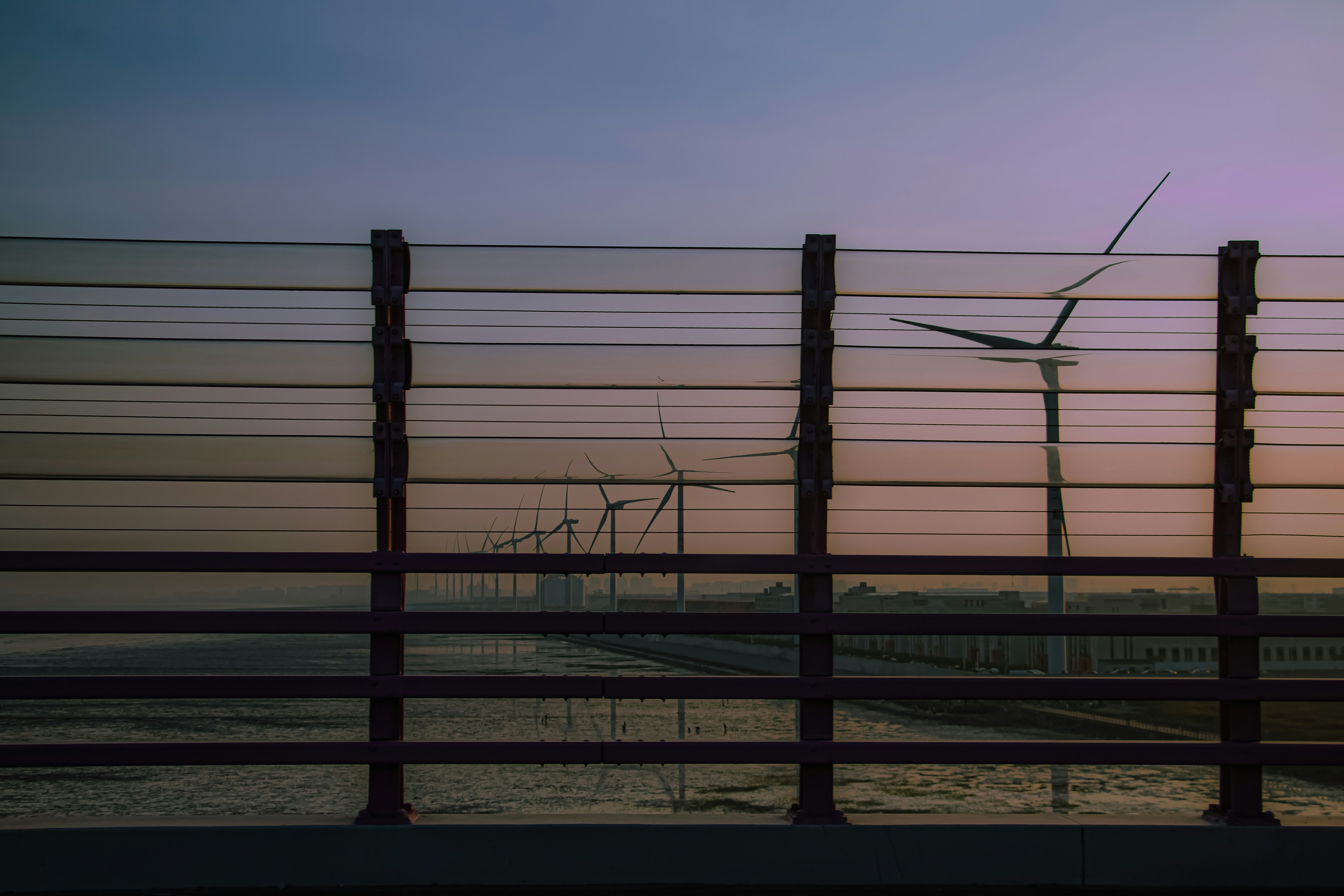 Windline Silhouettes Beyond the Fence at Dusk