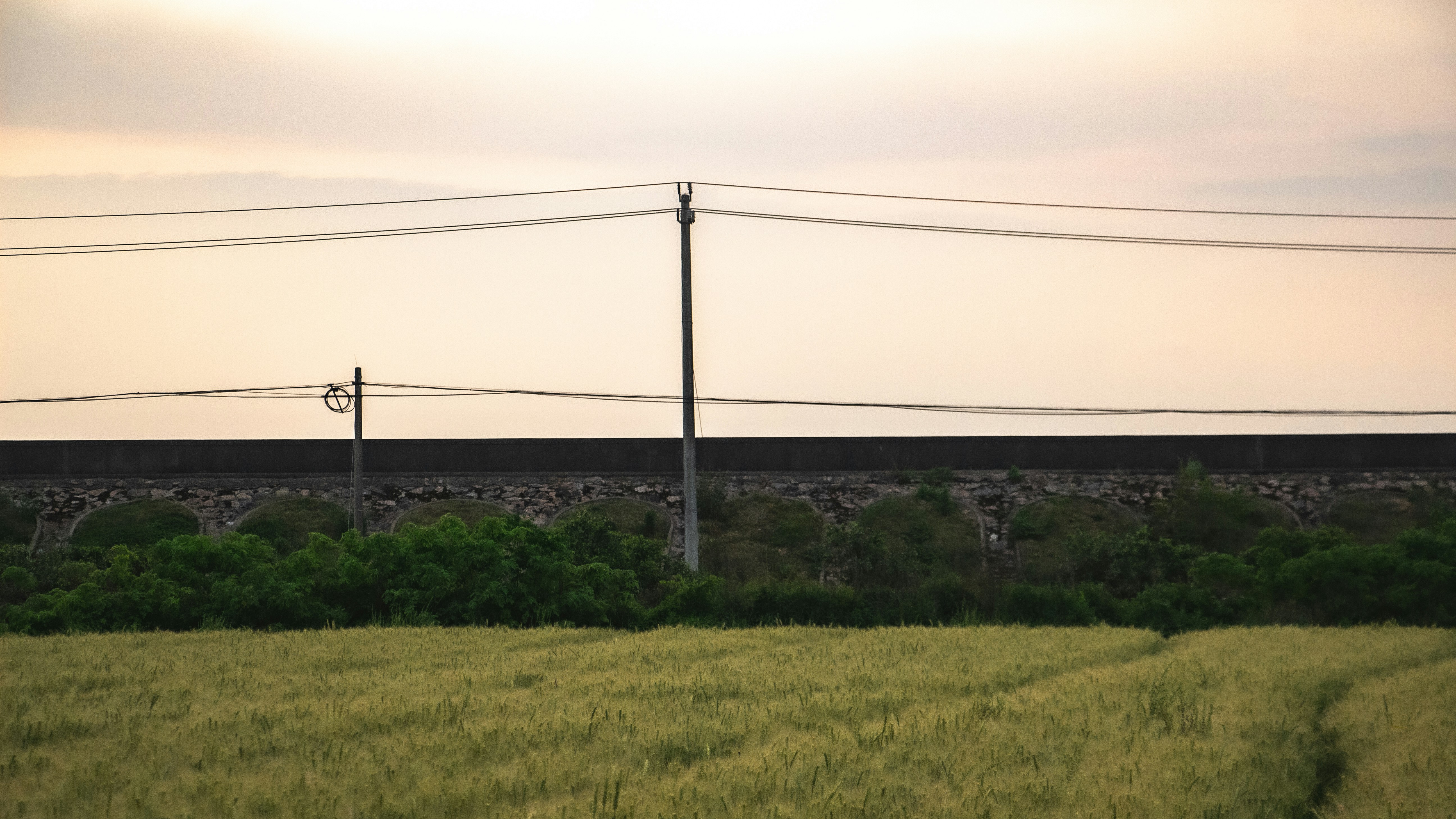 Parallel Lines Over Golden Fields at Dusk