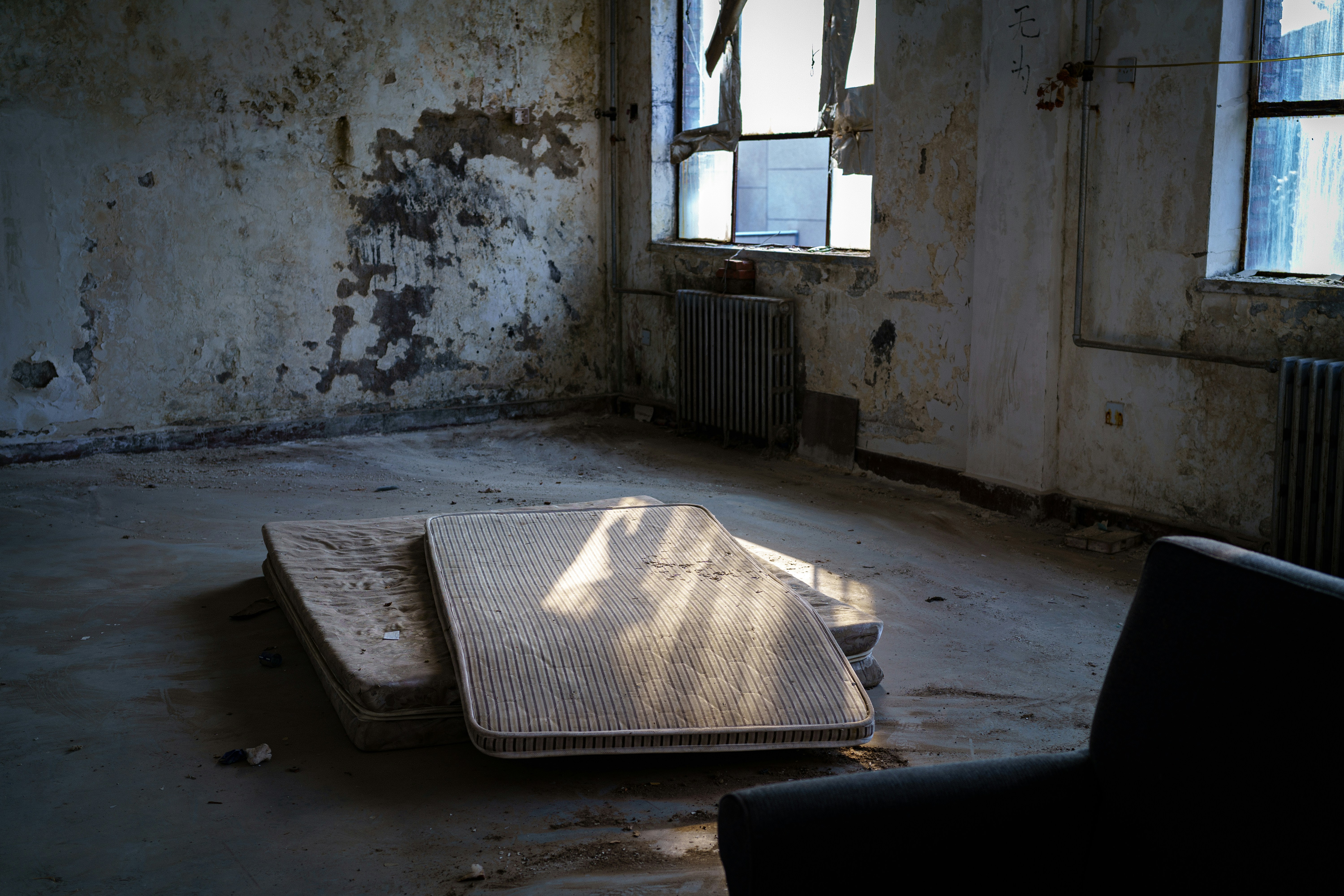 Sunlit Ragged Cushions in a Distant Room