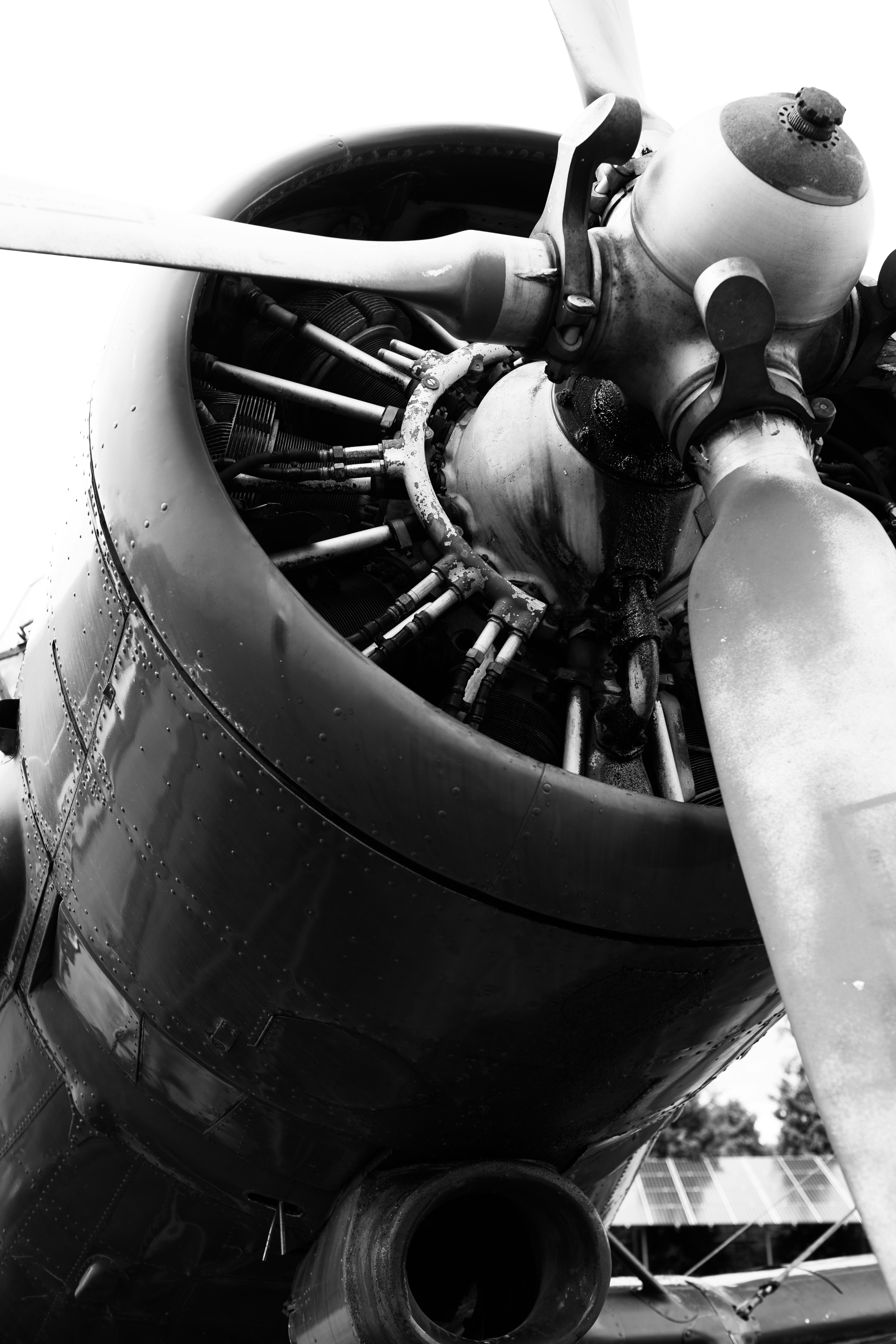 Airplane engine and propeller, black and white.
