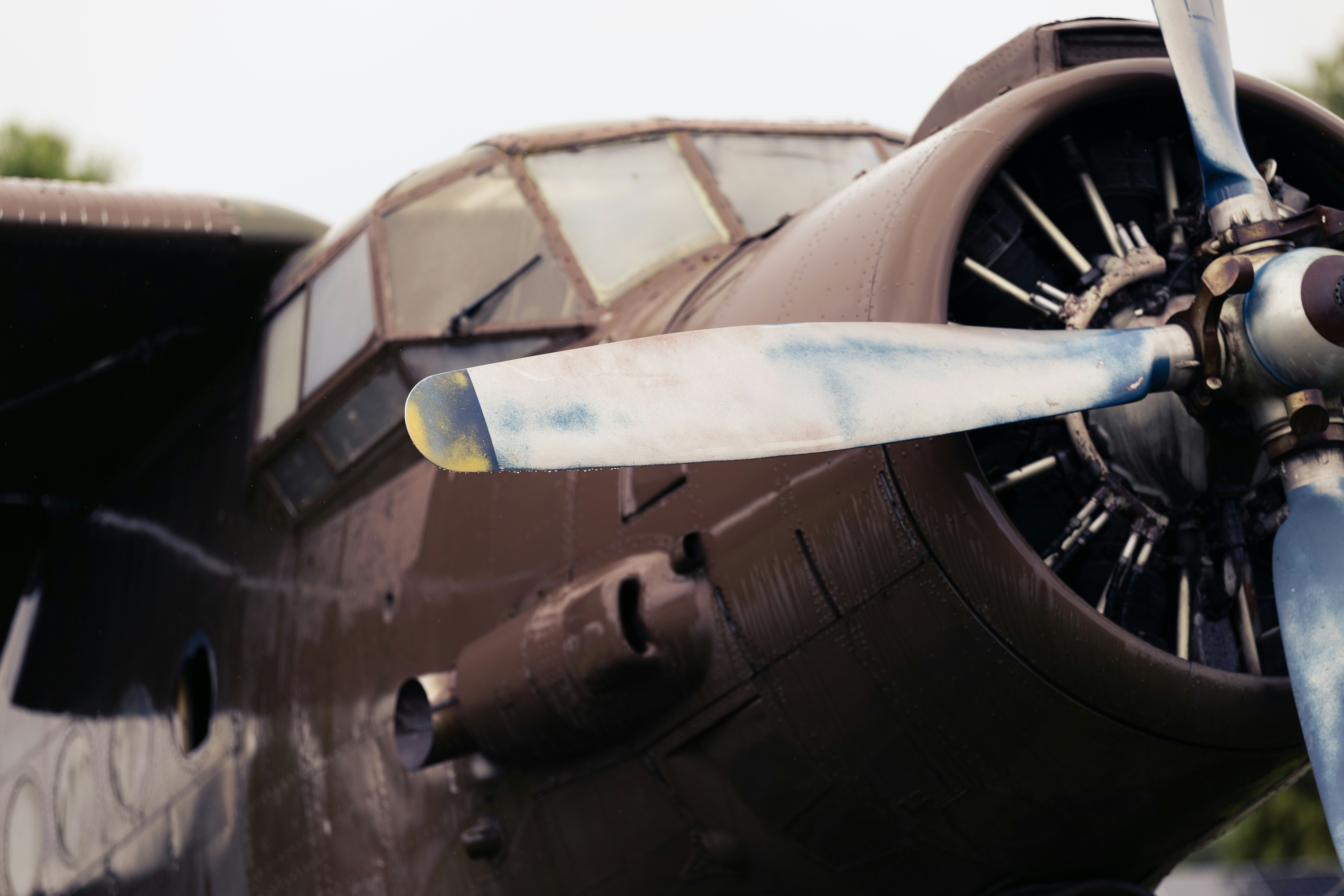 Old Warbird Close-Up: Weathered Propeller and Framing Turbine