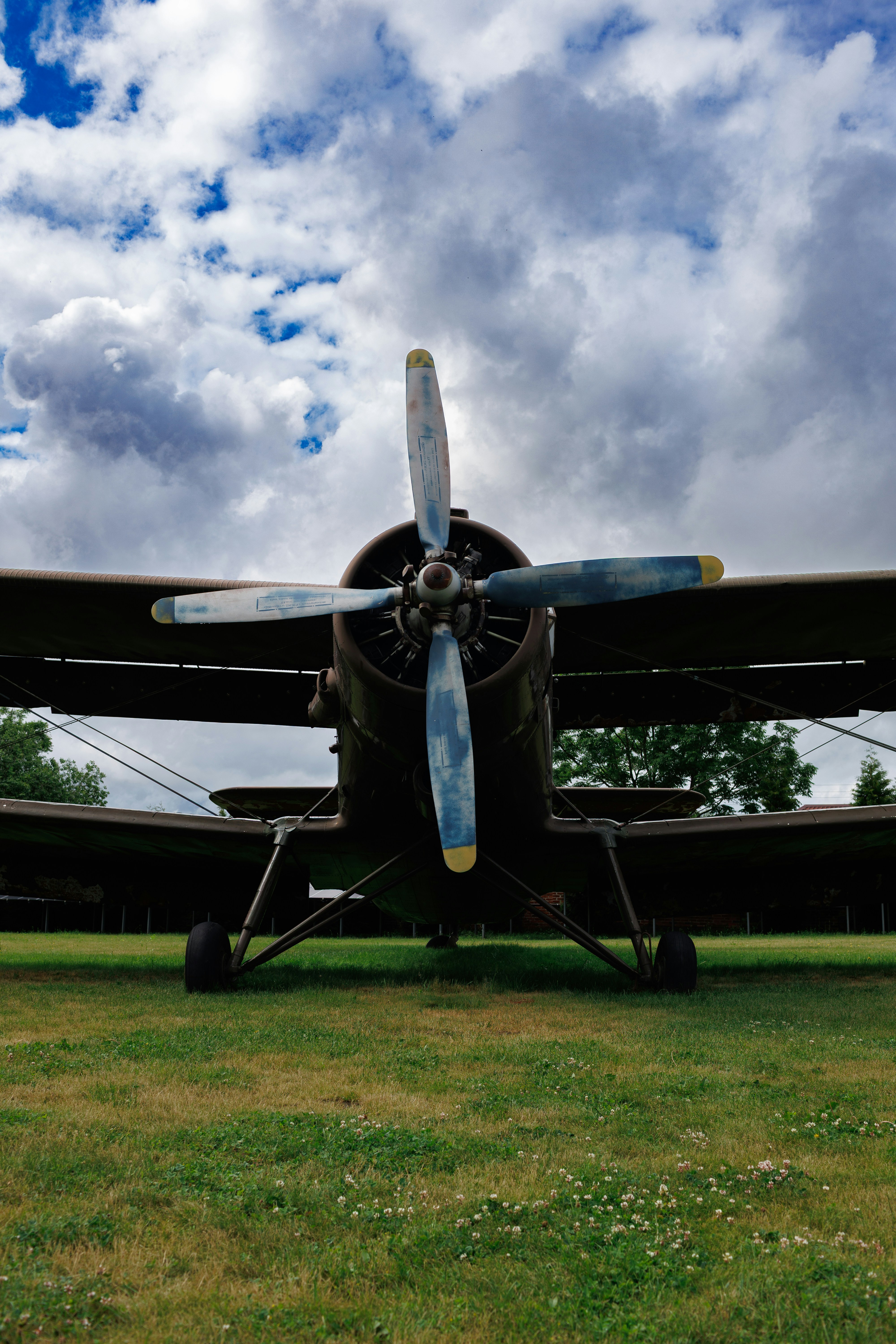 Front View of a Vintage Biplane: Propeller Eyes on a Grassy Runway