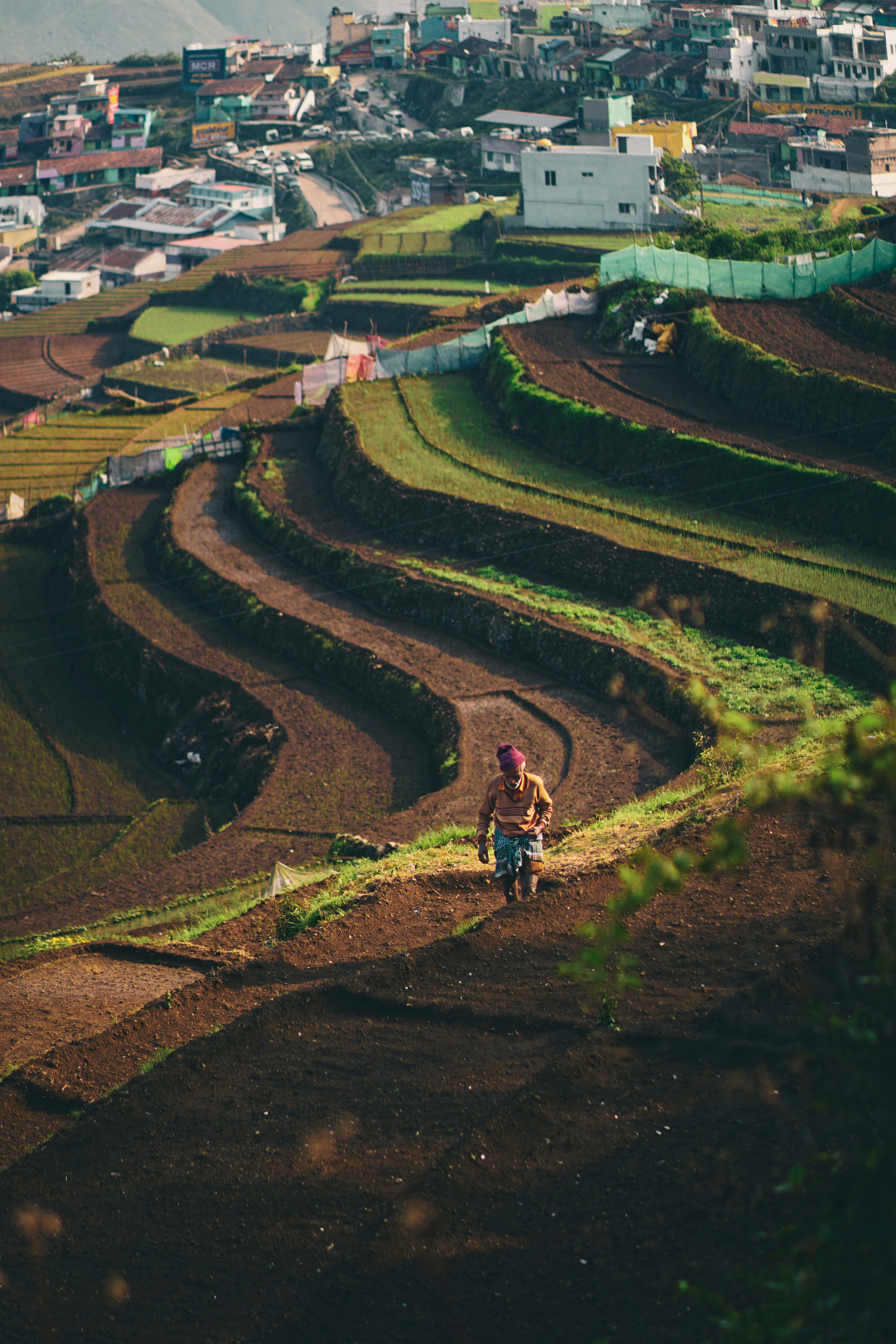 Terraced hillsides and a lone worker: a valley of careful steps