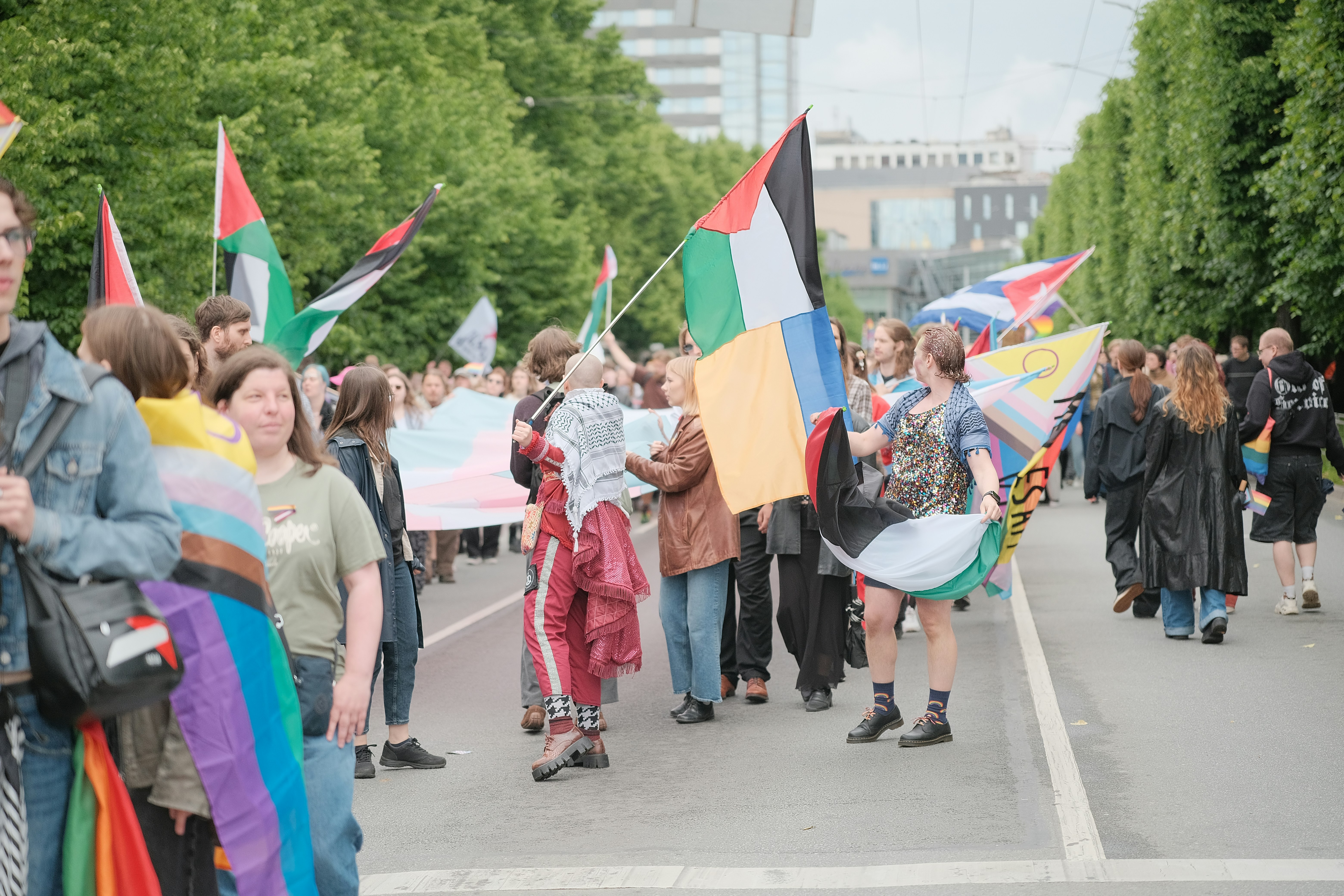 Rally on the Avenue: Diversity in Colorful Flags and Counterflow