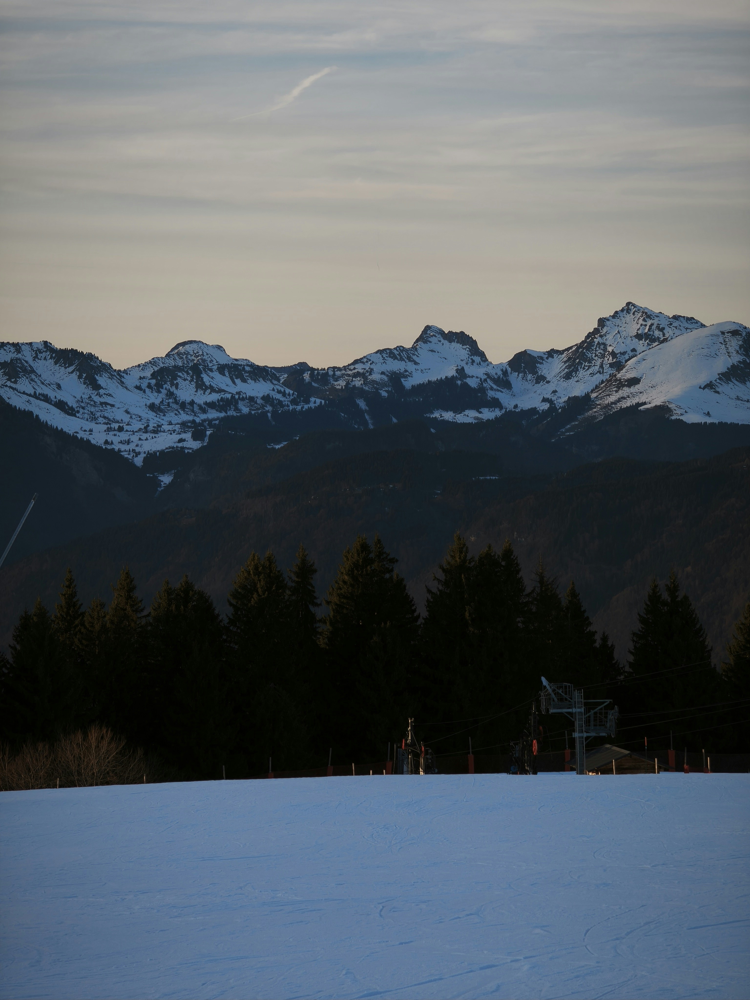 Snowy Ridge at Dusk: Alpine Trees Against Velvet Sky