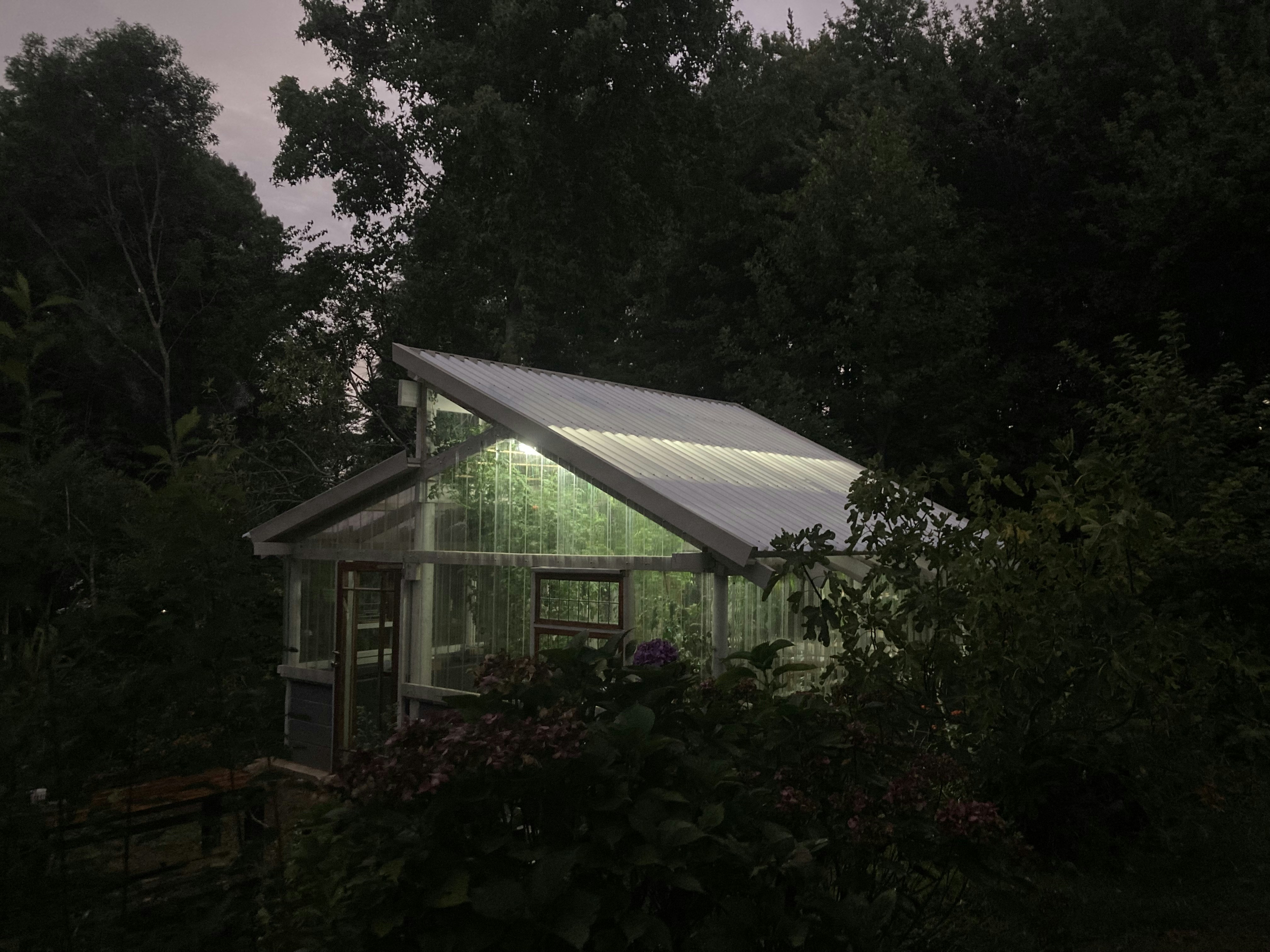 Moonlit Greenhouse Amid Dense Pines