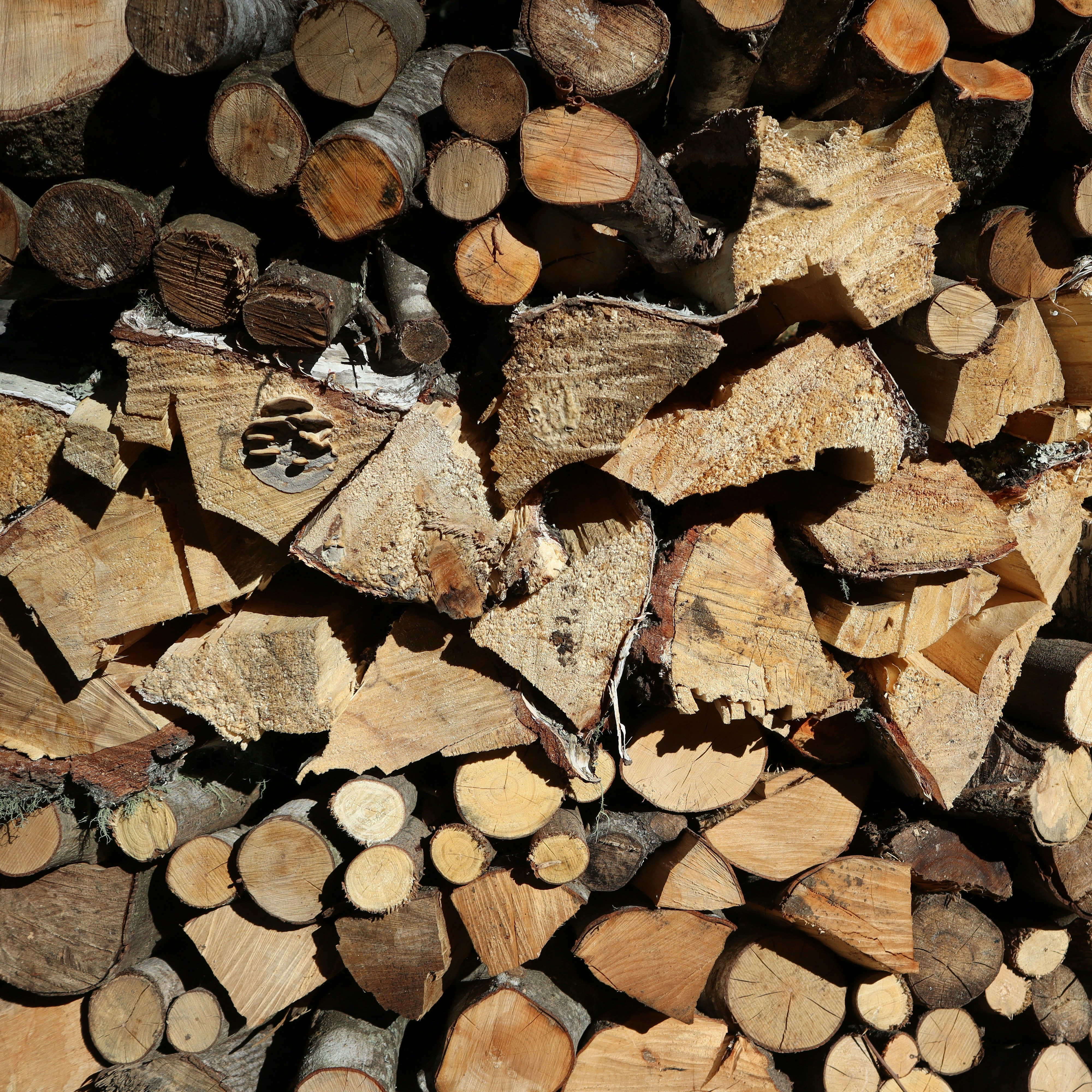 Compact logs and split wood pieces stacked in a rough pile, highlighting varied grain and bark textures for a rustic, tactile scene.