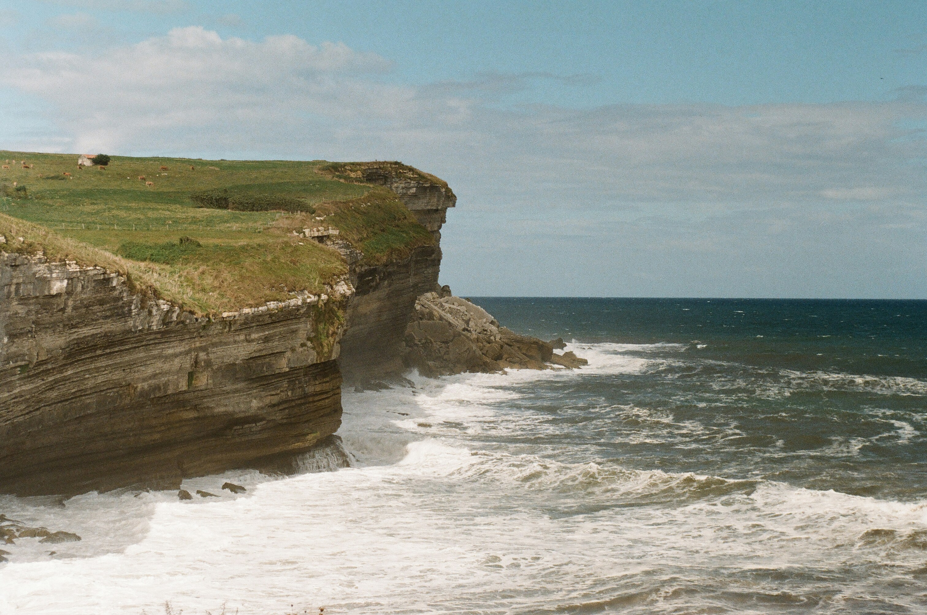 Cliffside Perimeter: Windswept Coastline Over Peeling Rock