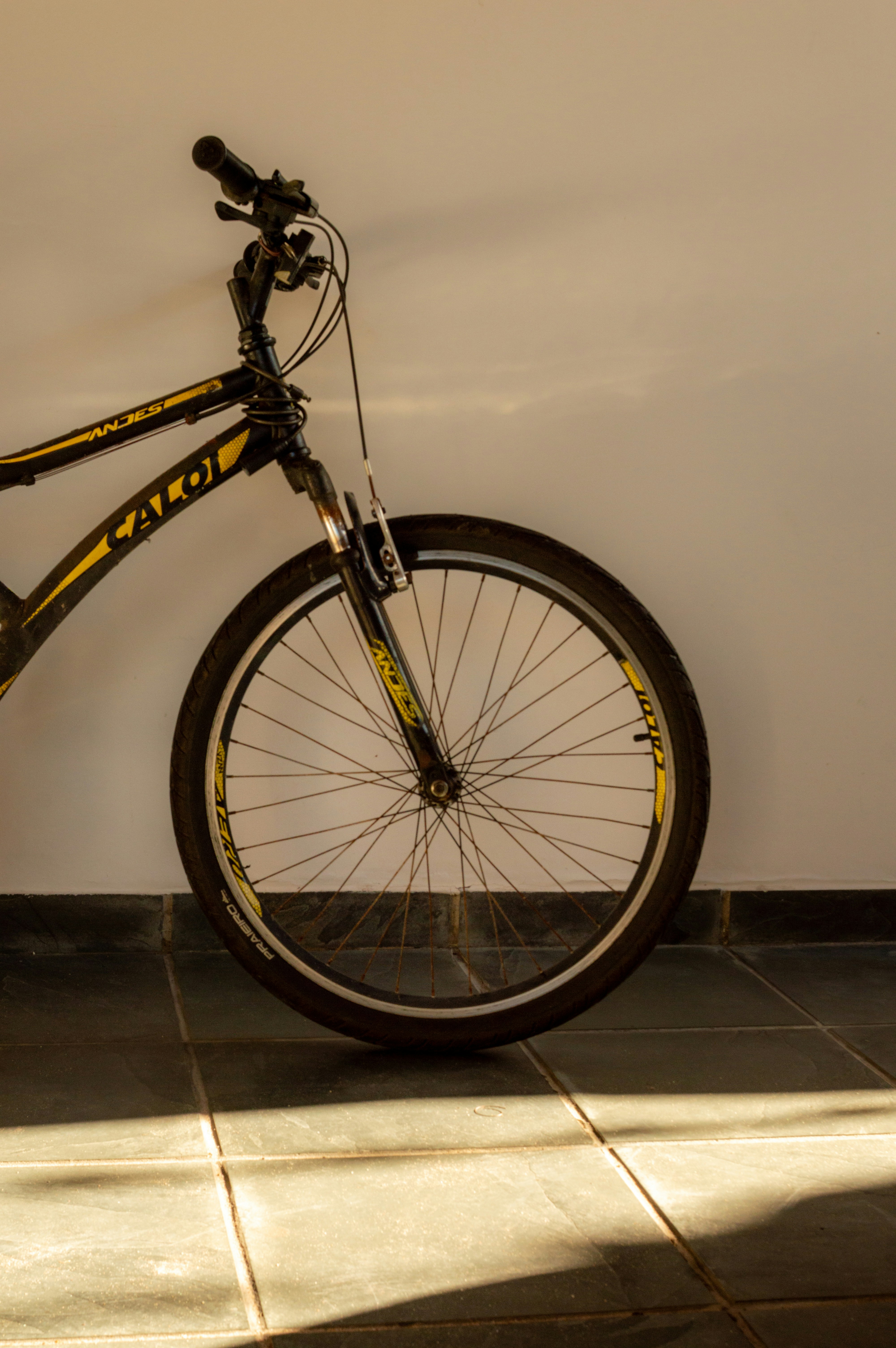 Urban bicycle gallery: a lone wheel anchored to twilight-lit tile