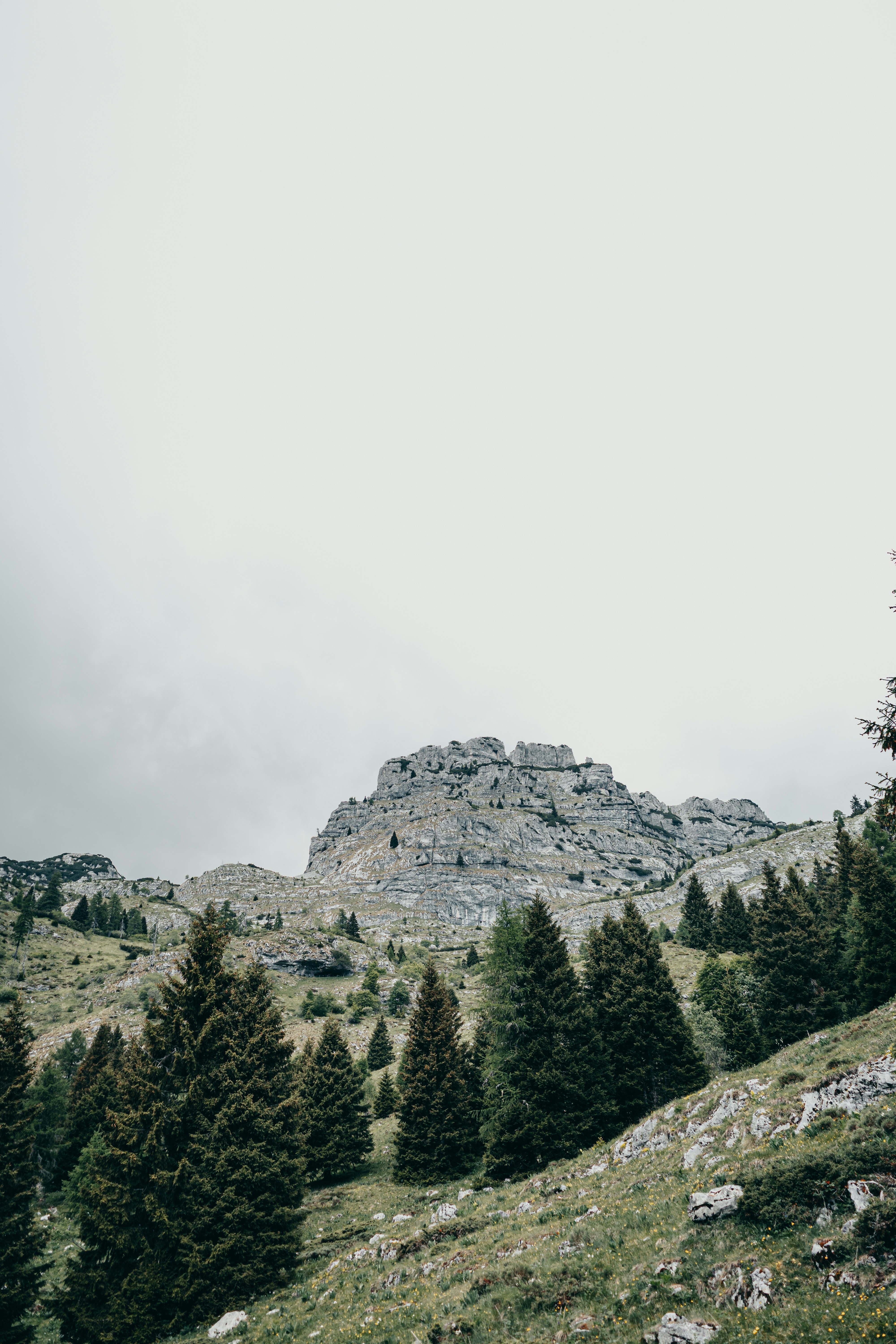 Rugged Peak Crowned by Granite and Pine