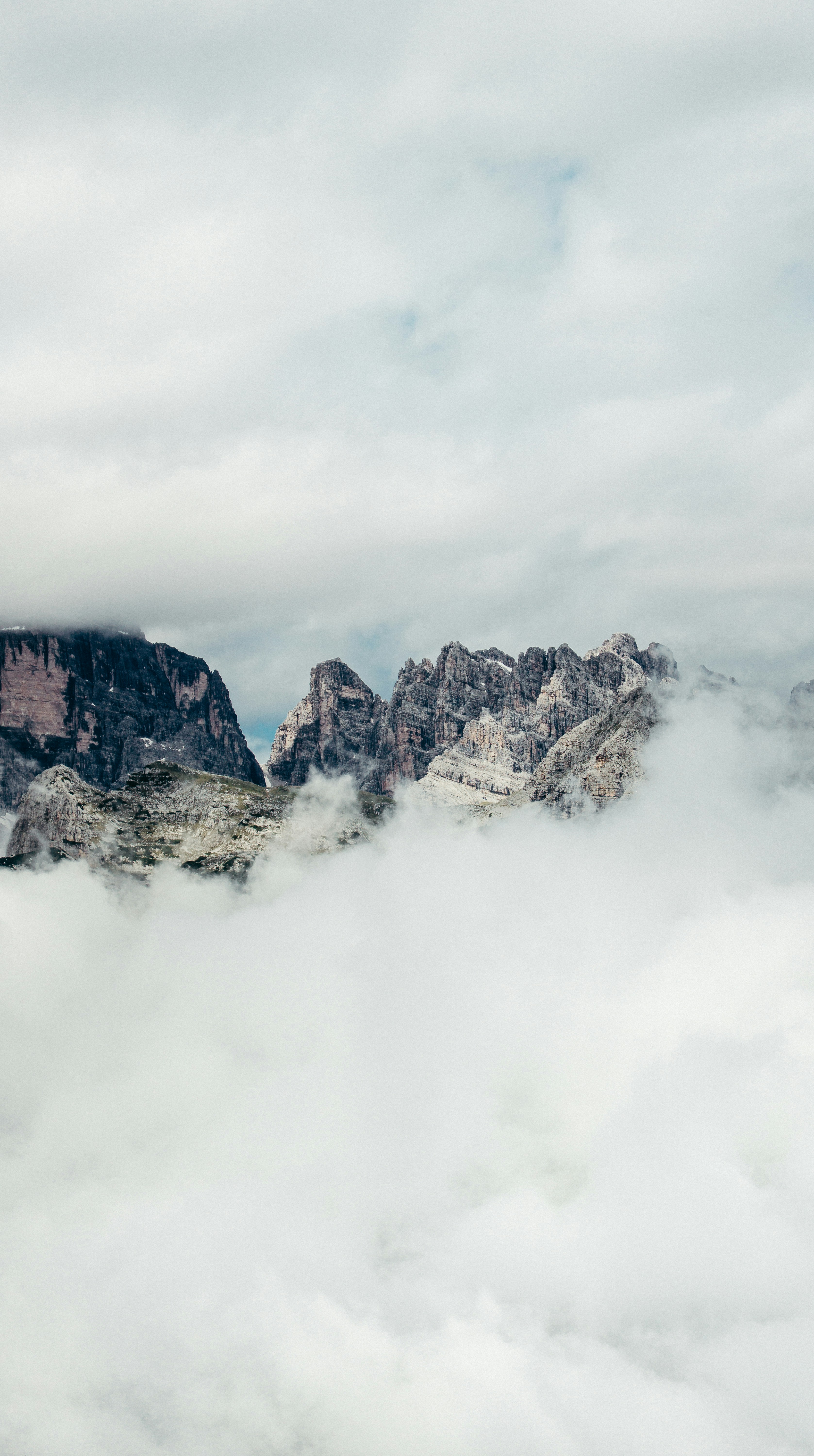 Mist-Clad Peaks Emergence