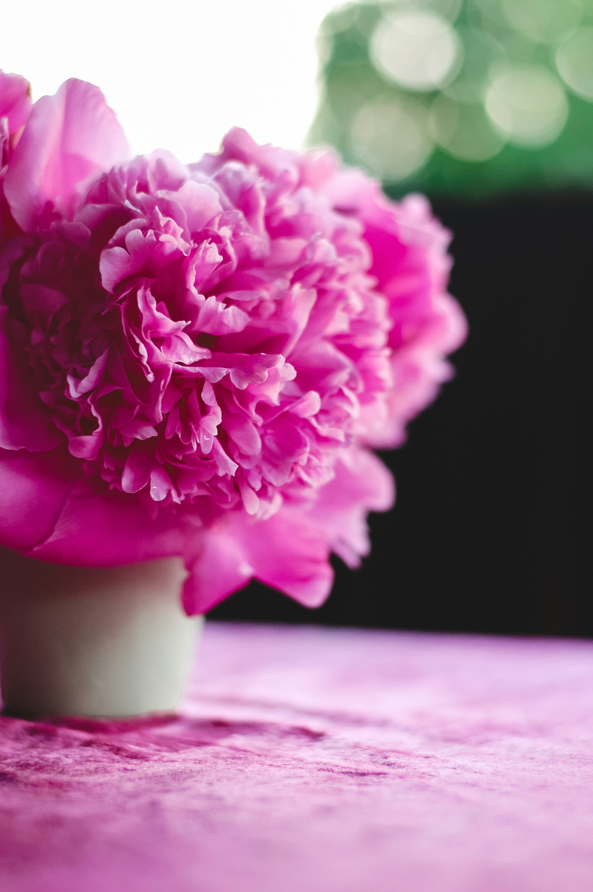 Crimson Petal Cloud: A Close-Up of a Pink Peony Bouquet