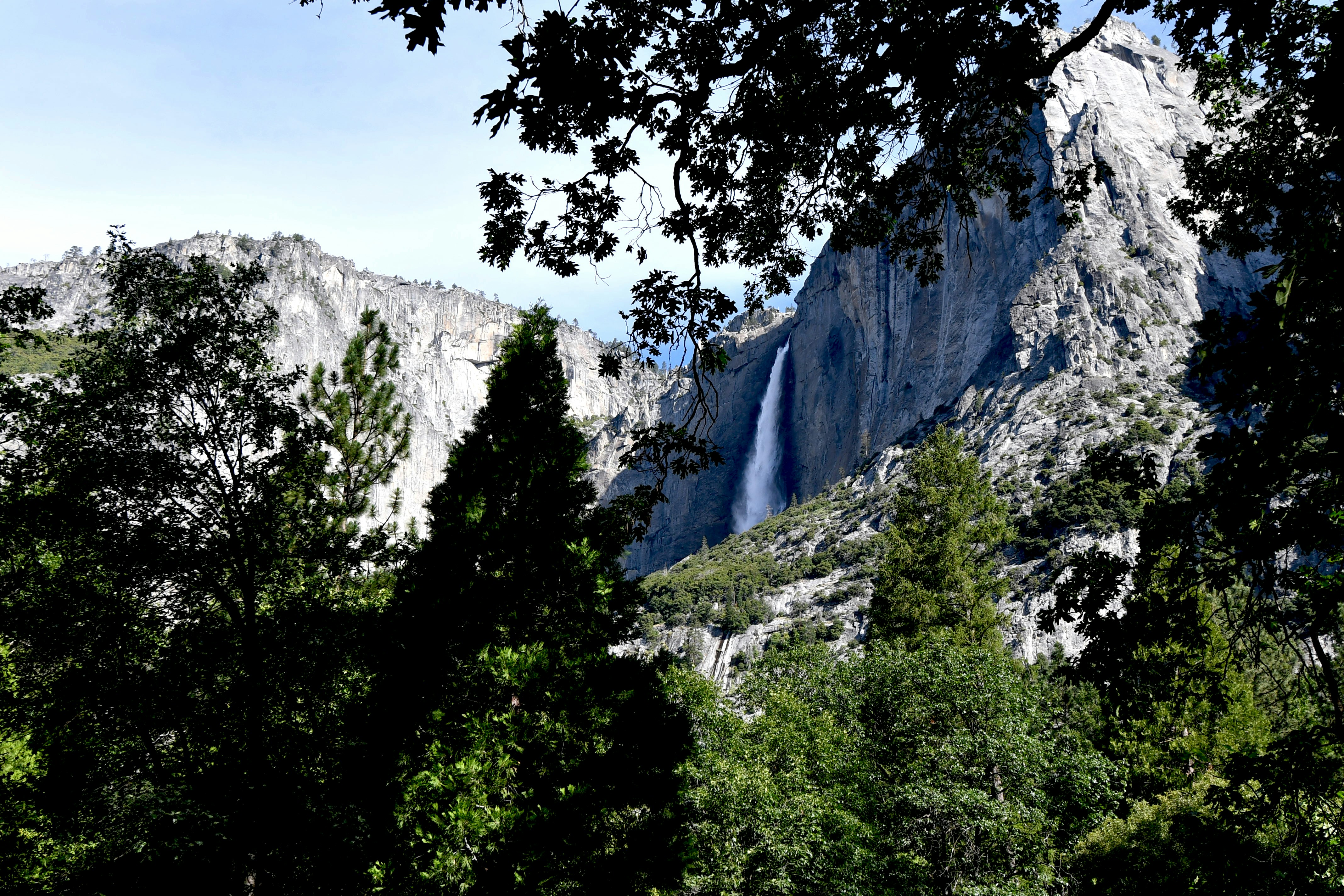 Emerald Wall: Pines, Cliff, and a Cascading Vista