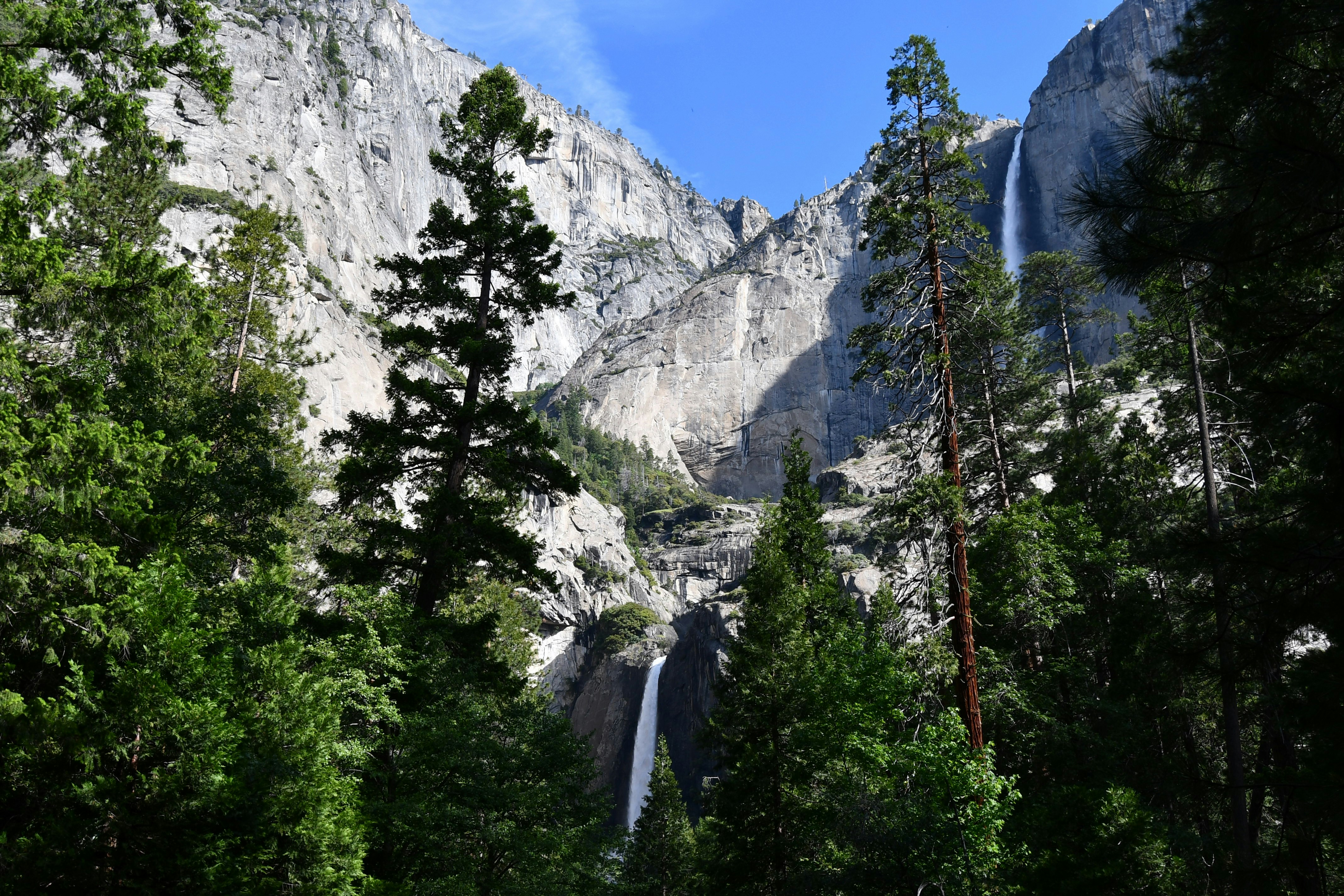 Cascading Cathedral: A Towering Waterfall Framed by Pines
