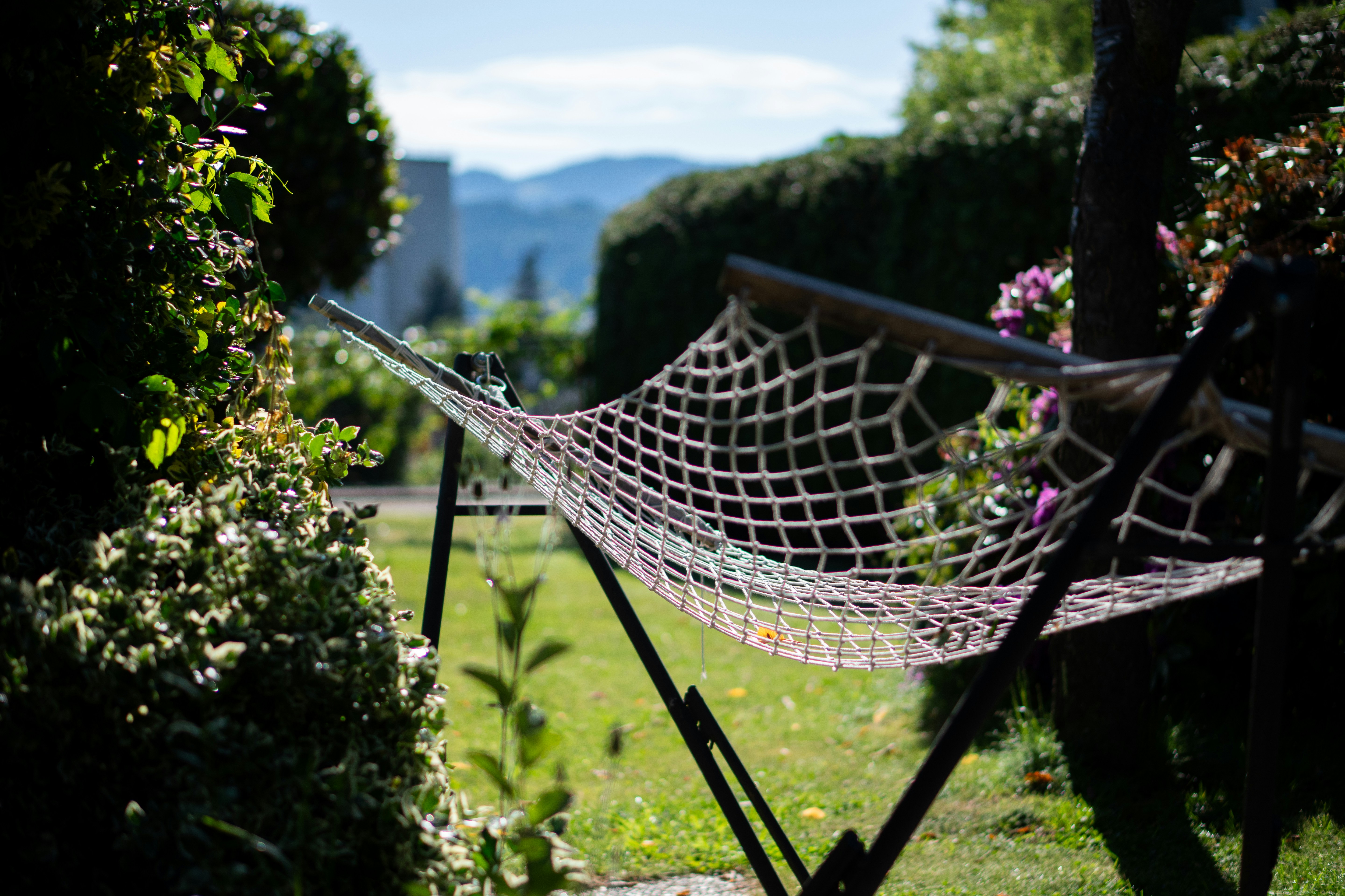 Hammock in Morning Light: Quiet Garden Escape
