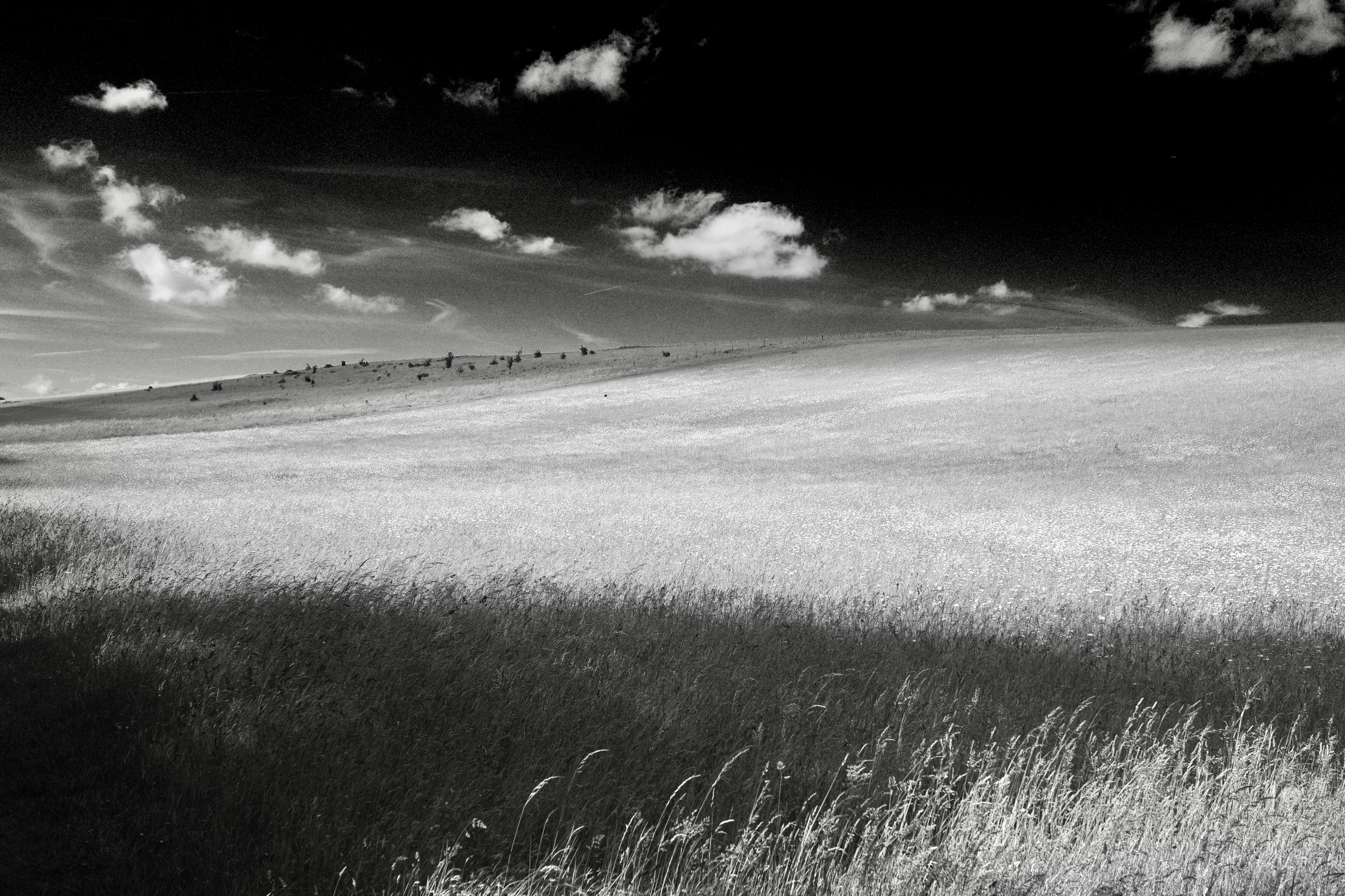 Hilltop Field in Monochrome: A Quiet Slope Under Wide Skies