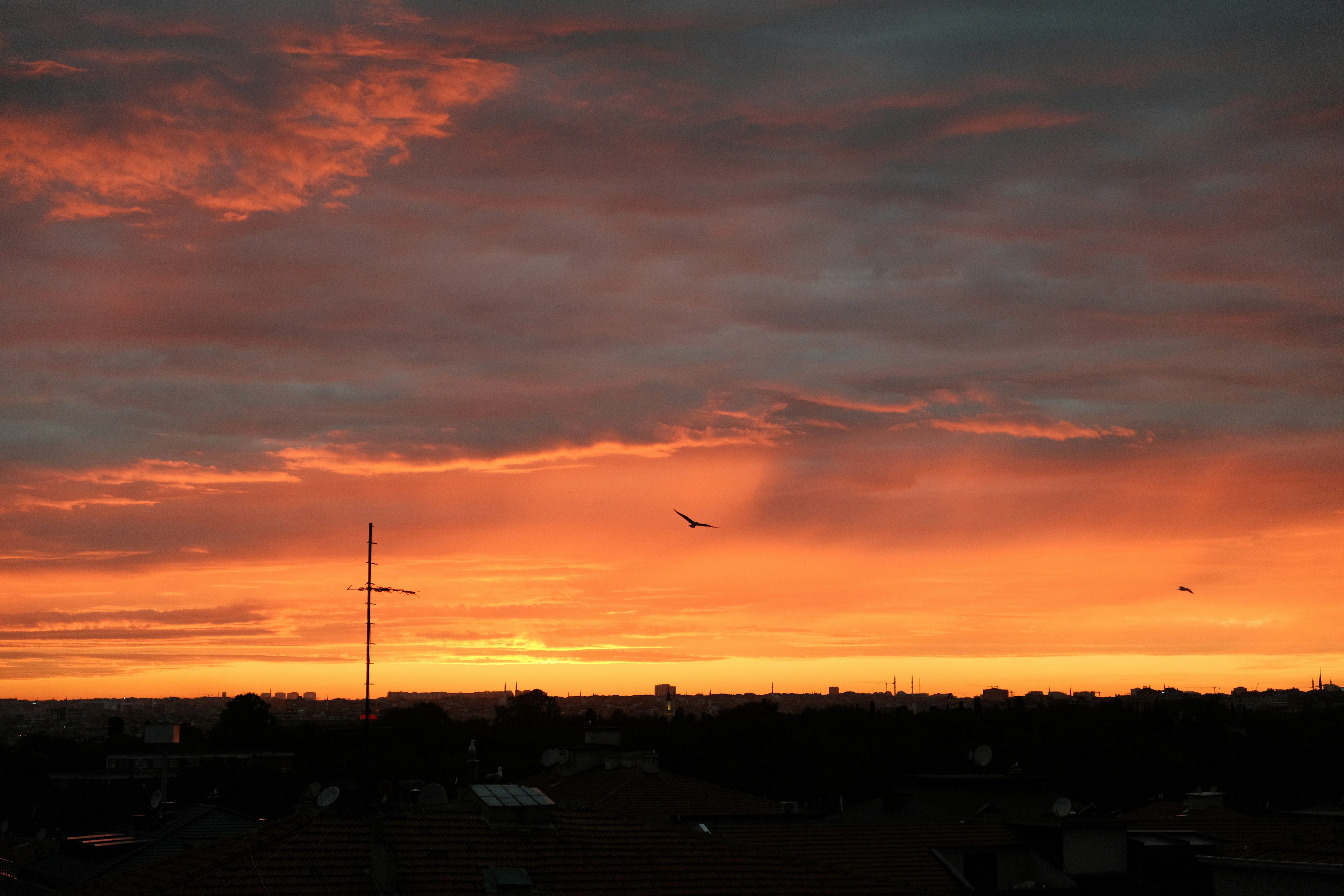 Horizon Fire: A Quiet Sunset Over Rooftops