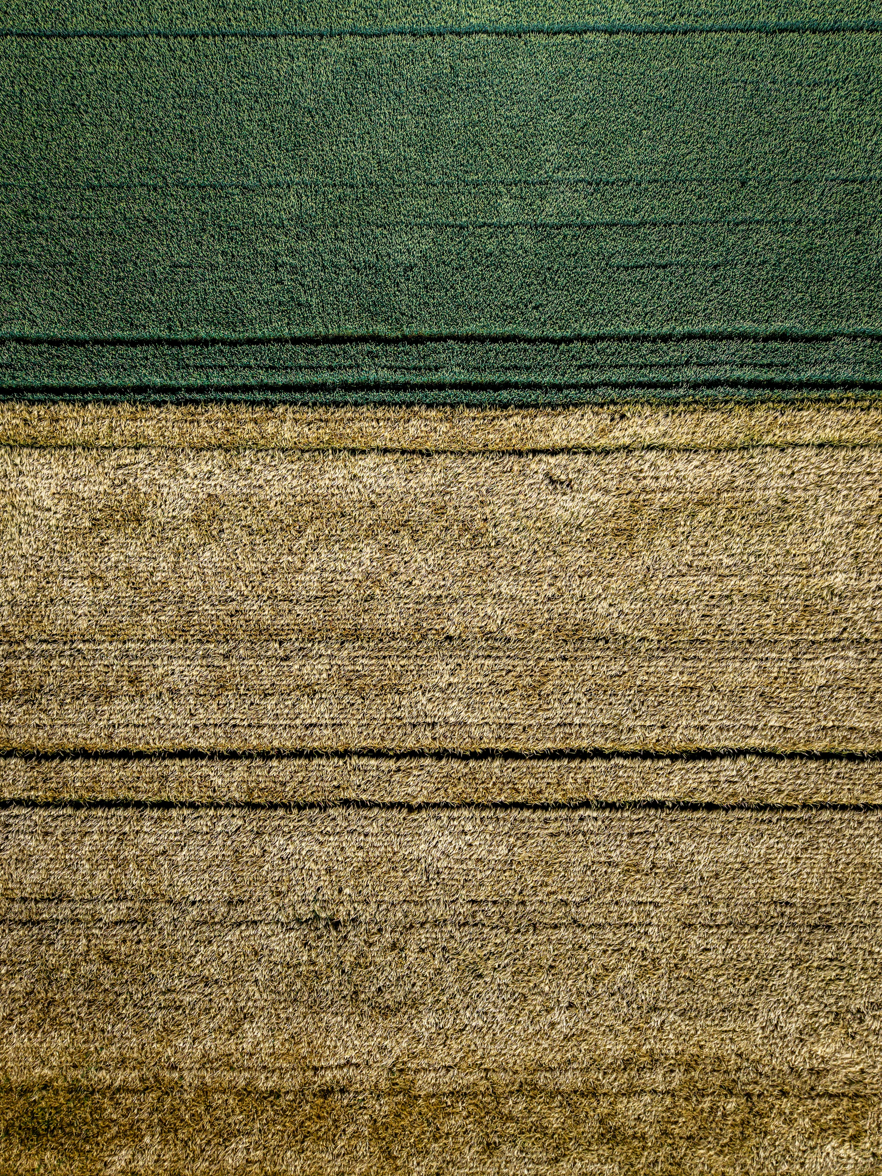 Striated fields: alternating textures from above