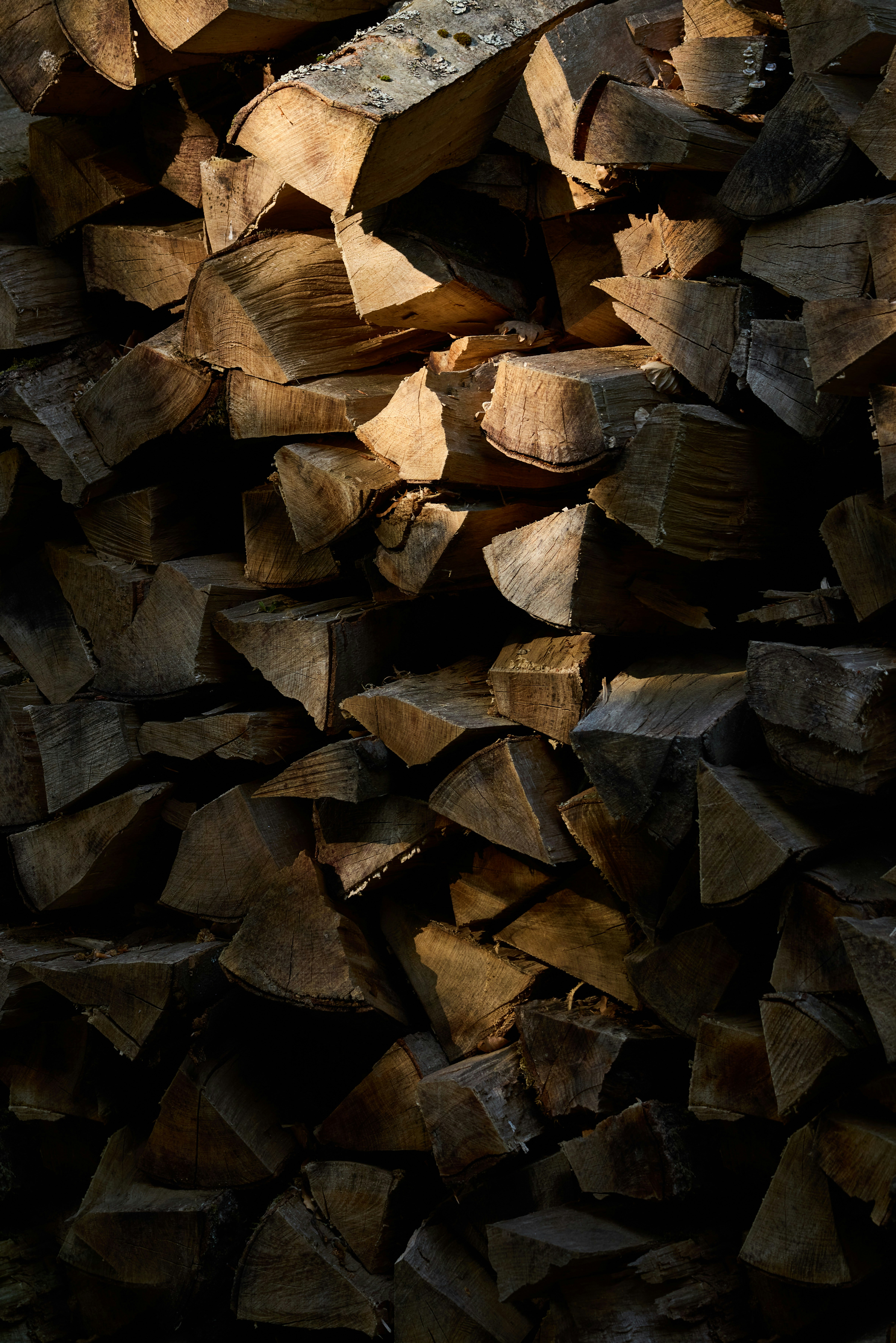 Crackled Stacks: Sunlit Edges on Split Firewood
