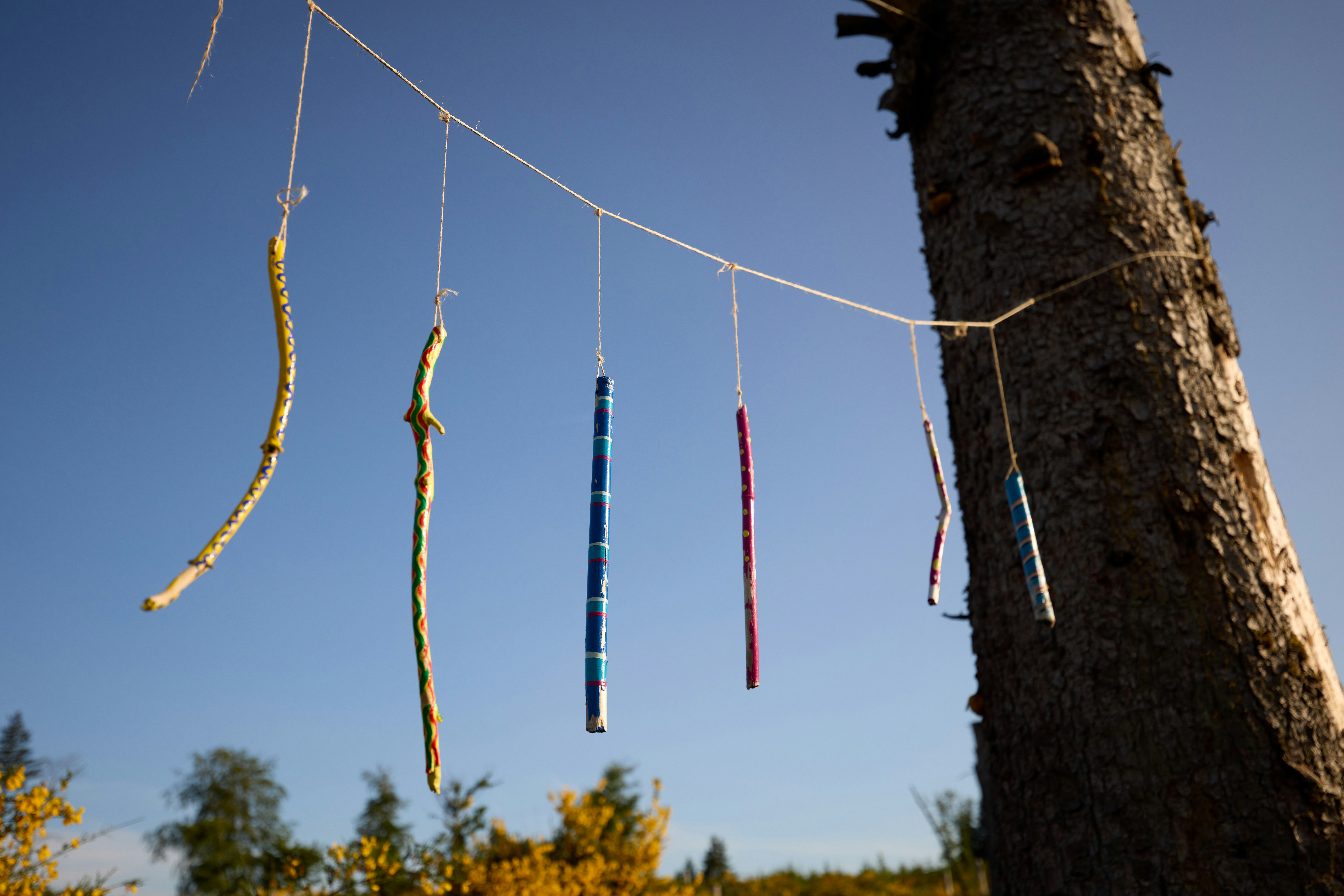 String of Colored Bellropes Dangling from a Branch