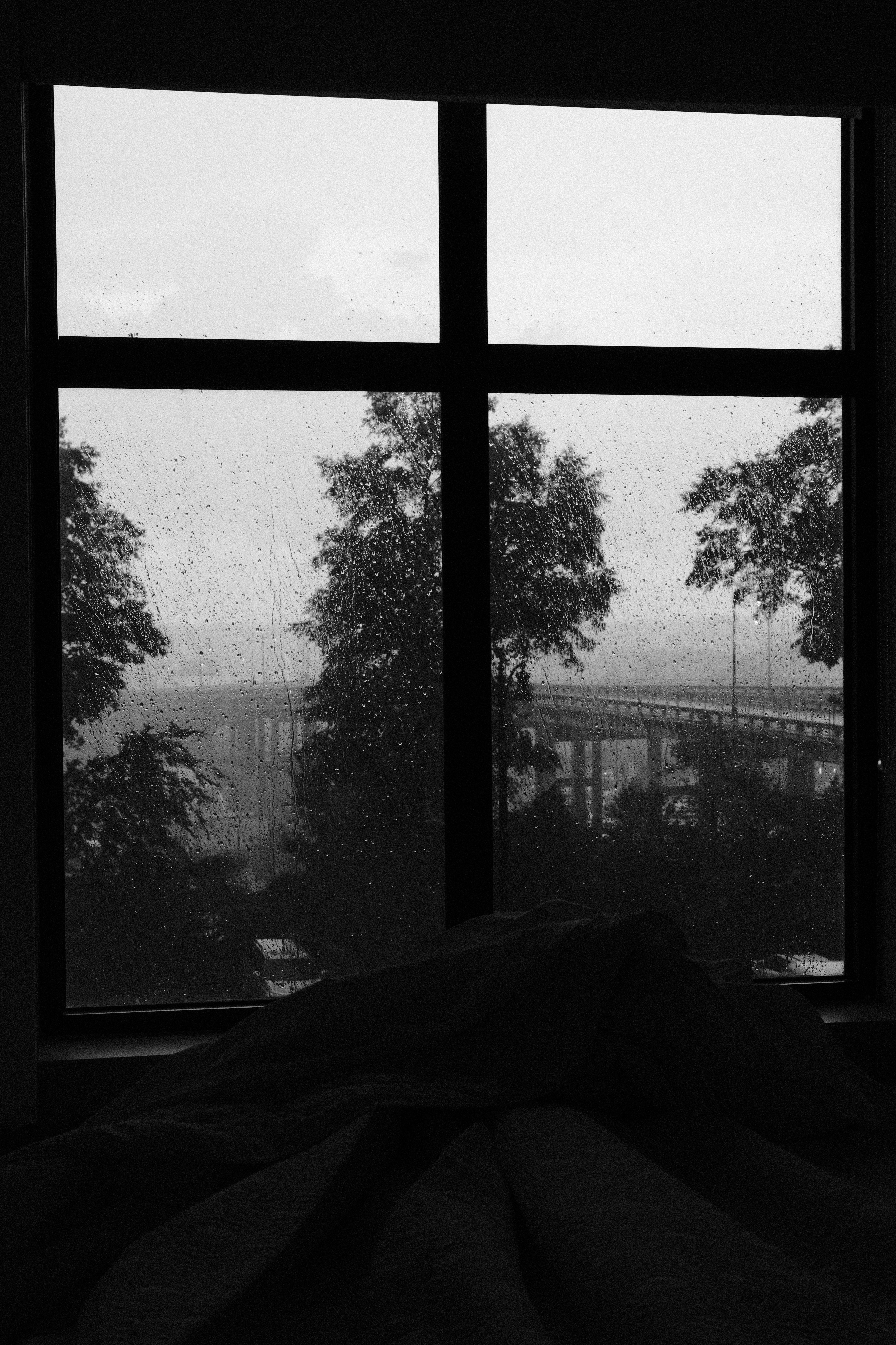 Rainy day view from window with trees and a bridge.