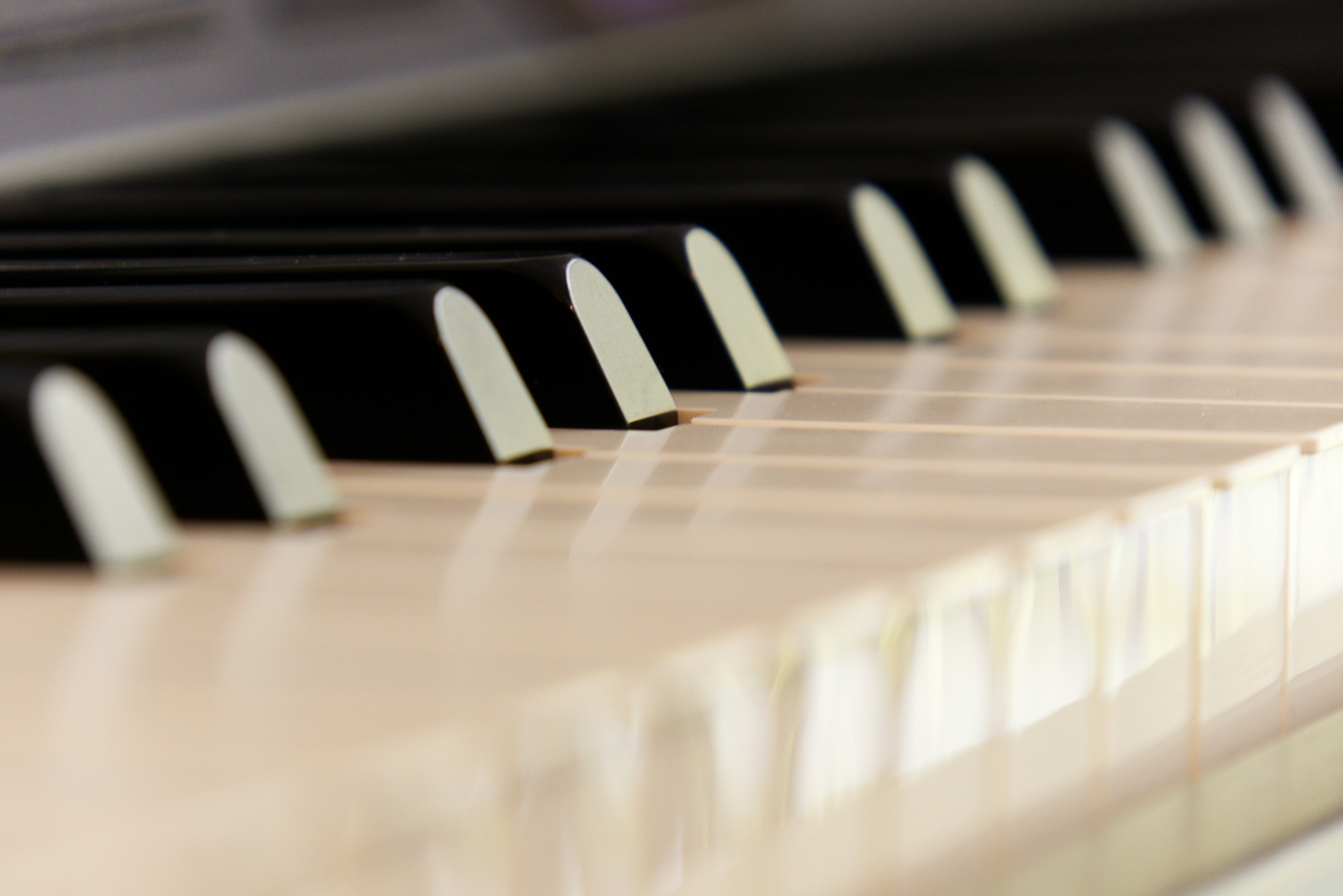 Whispering Keys: A Focused Moment on a Piano Row