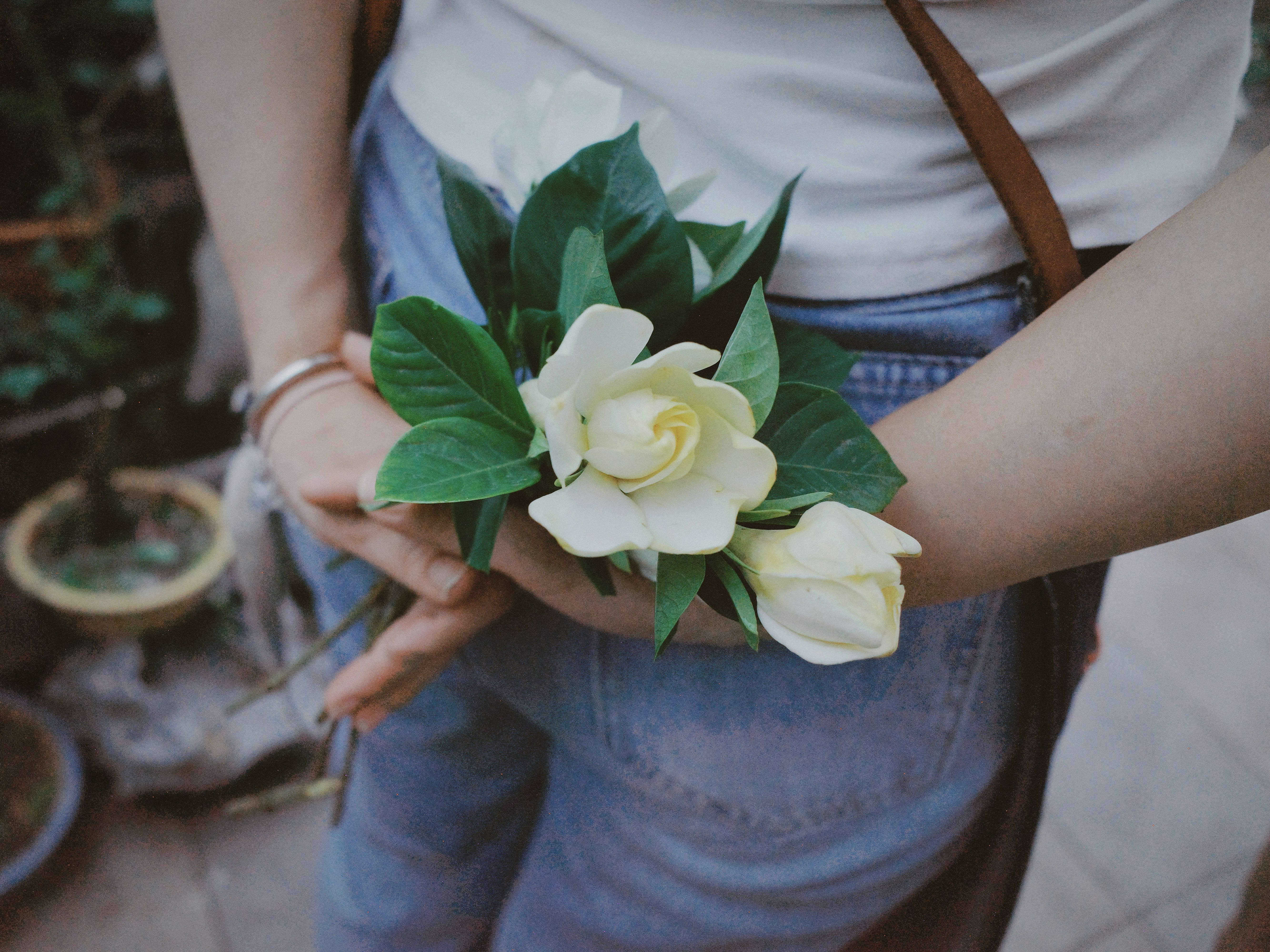 Holding Fresh Quiet: A Bouquet of Cream Roses in Soft Daylight
