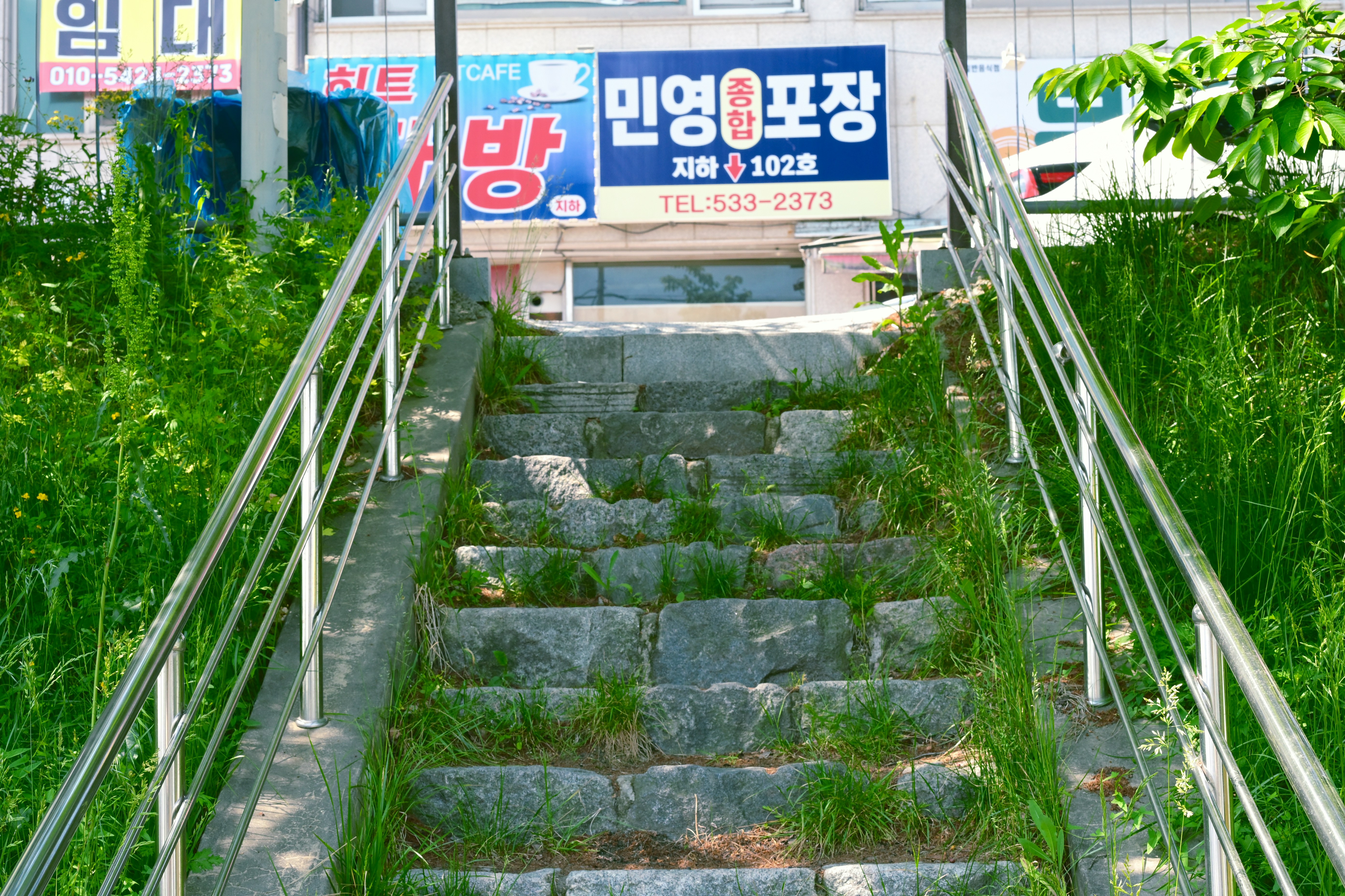 Urban stairway to storefronts: weeds reclaiming the concrete