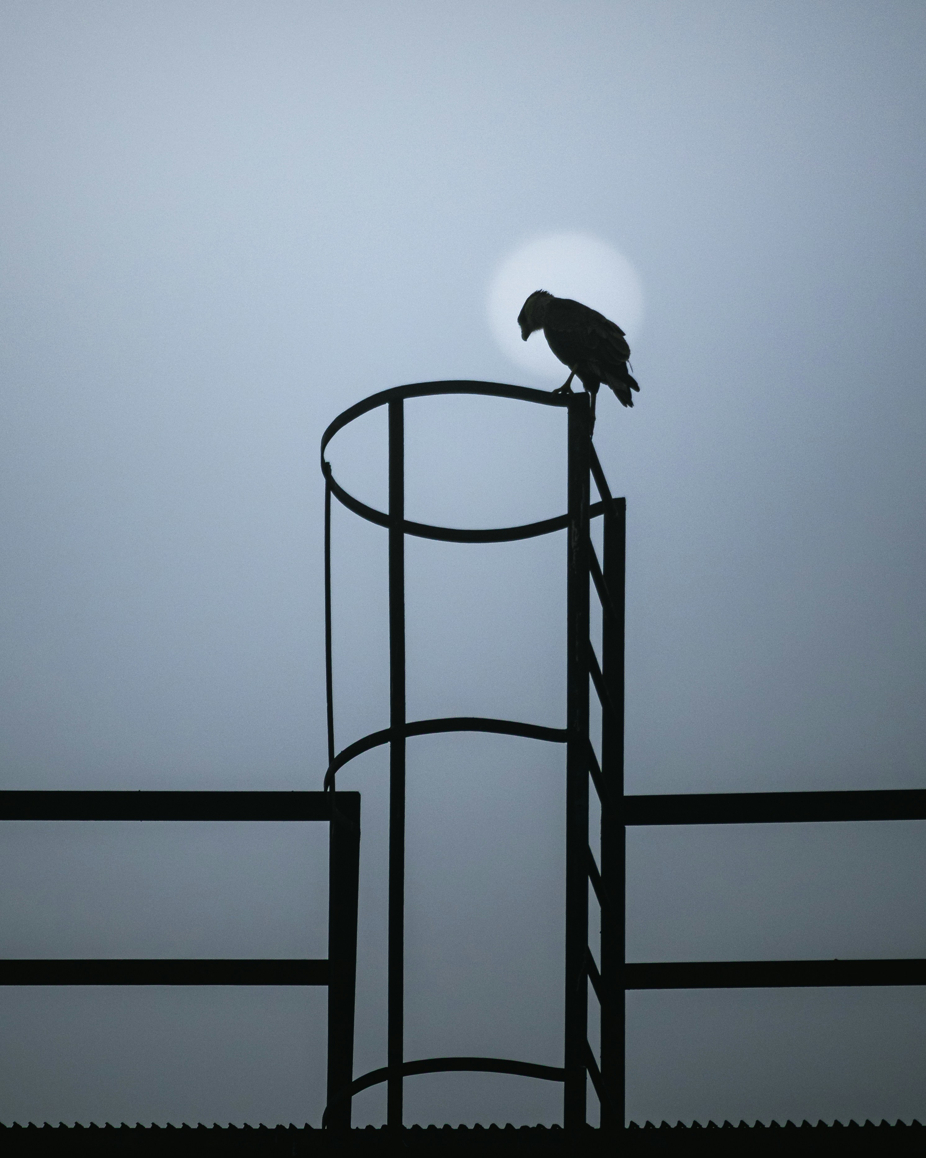 Raven at Dusk: Perched Sentinel Aboveindustrial Rails