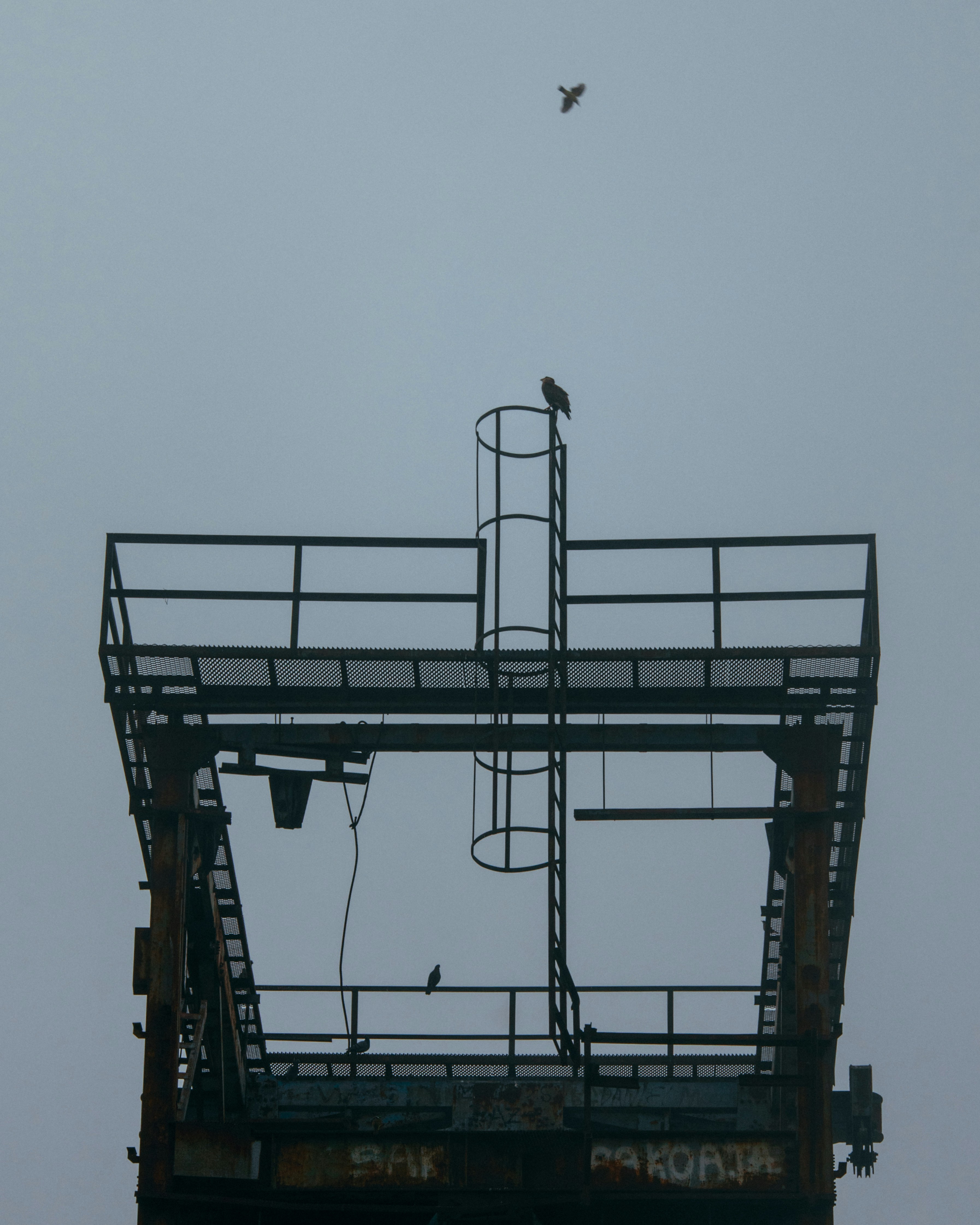 Raven Overhead: A derelict platform frames a lone perched bird