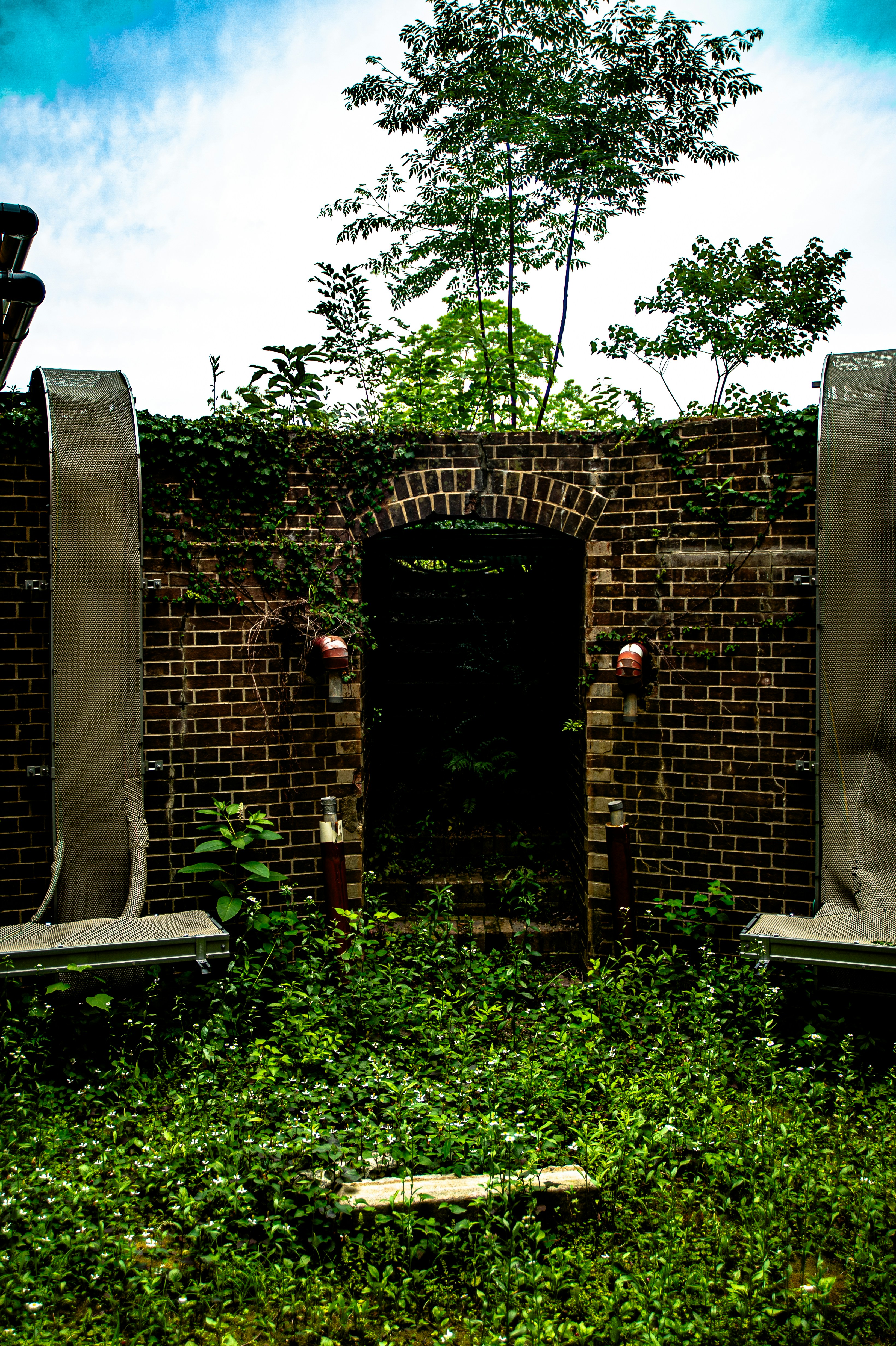 Overgrown Archway: A Quiet Bricked Gateway Reclaimed by Nature
