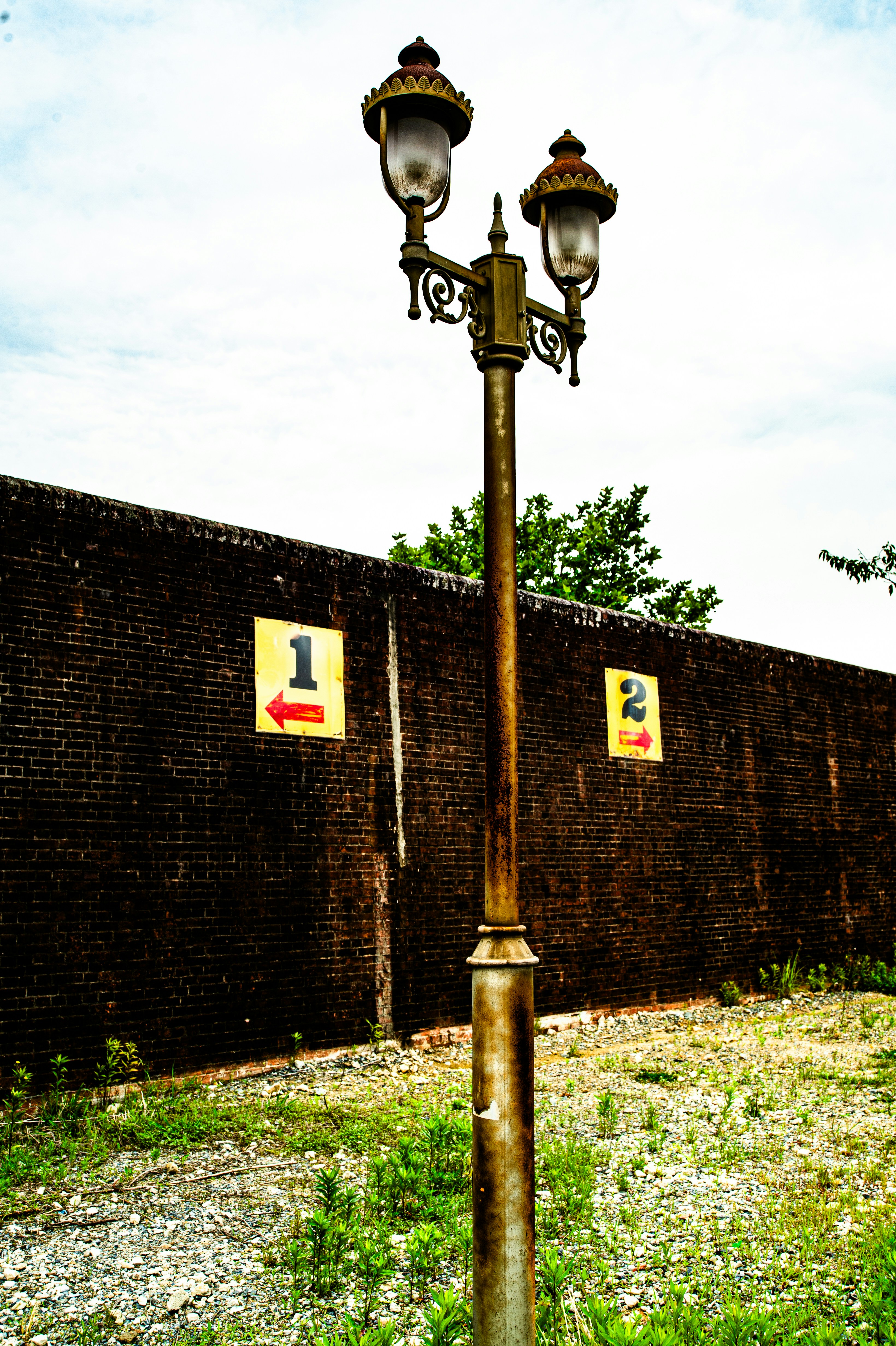 Lamppost Sentinel Along the Brick Wall