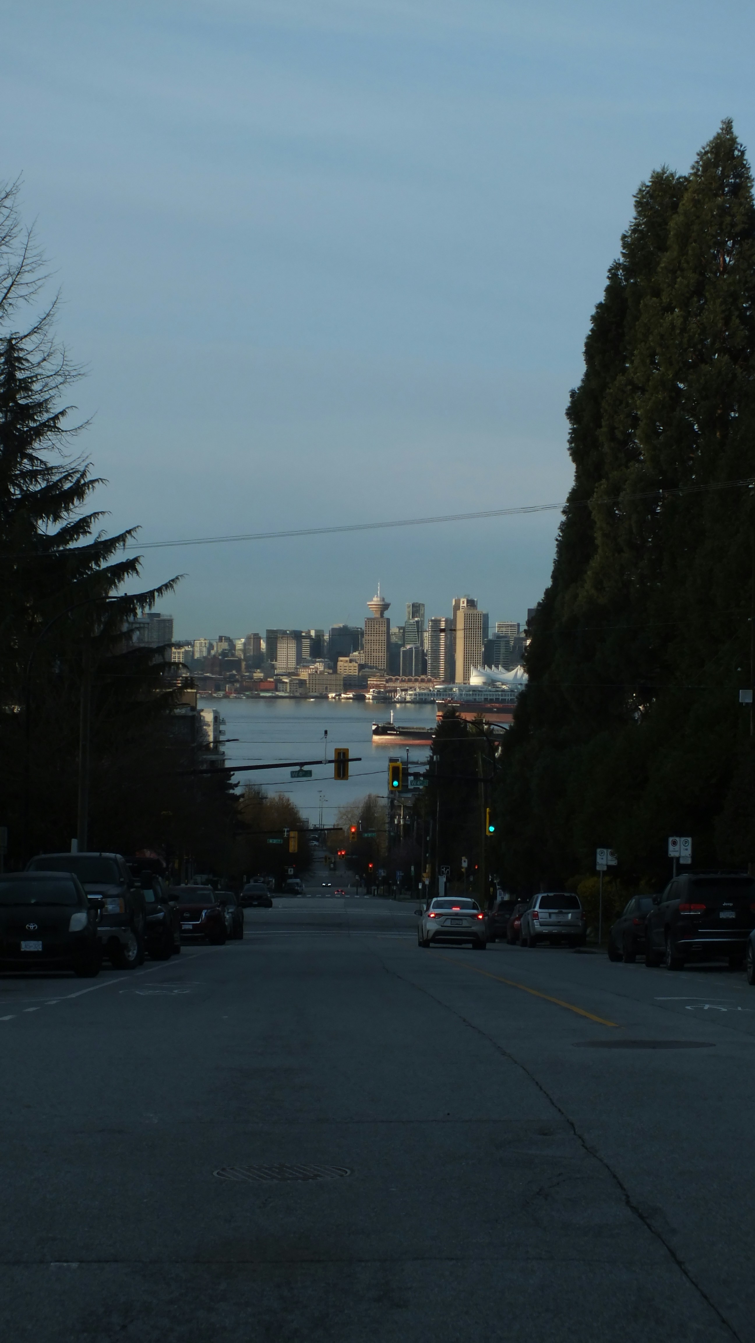 City at Waterline: A Sunset View Down a Tree-Framed Street