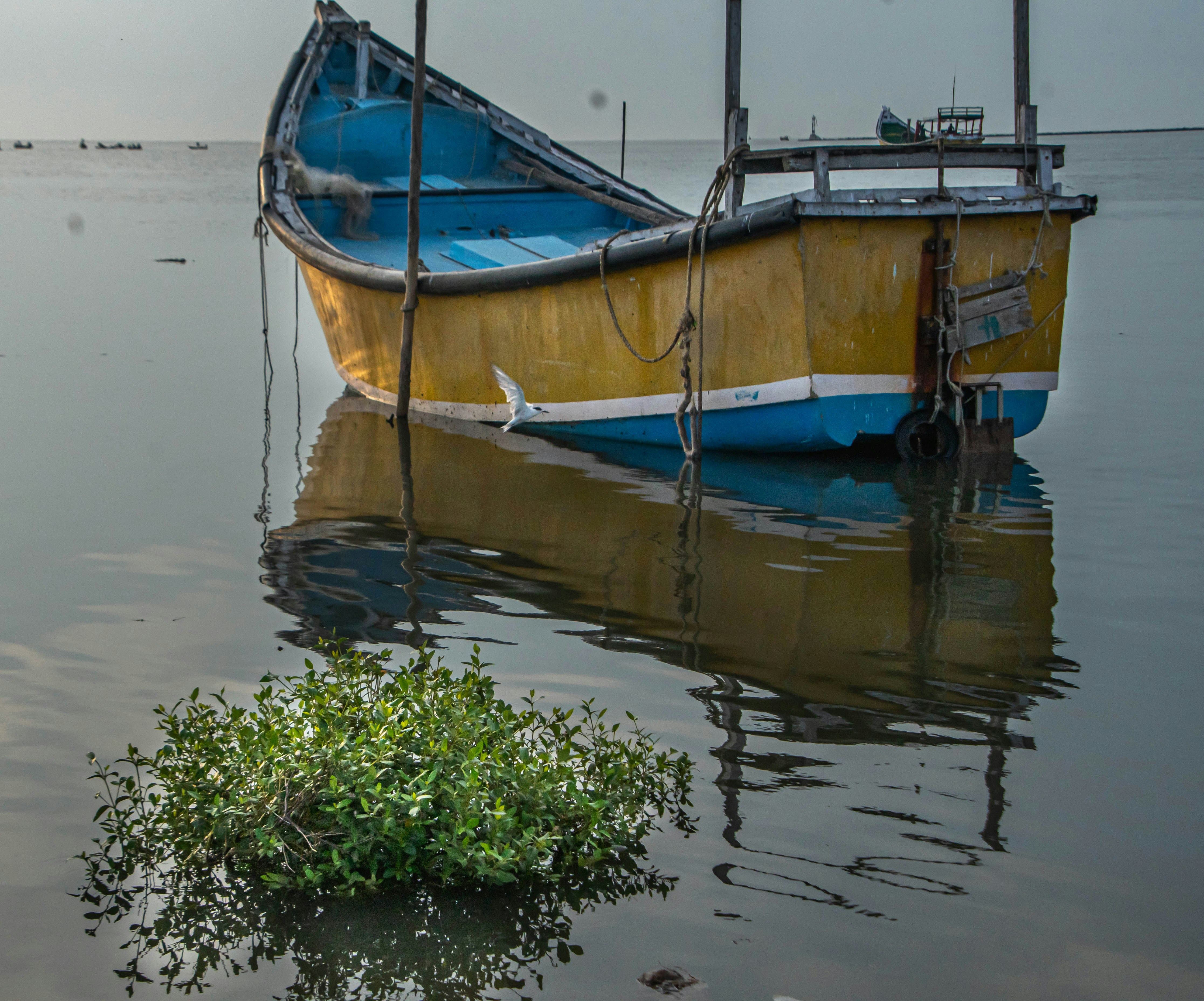 Yellow Boat at Rest: A Quiet Moment of Waterfront Tranquility