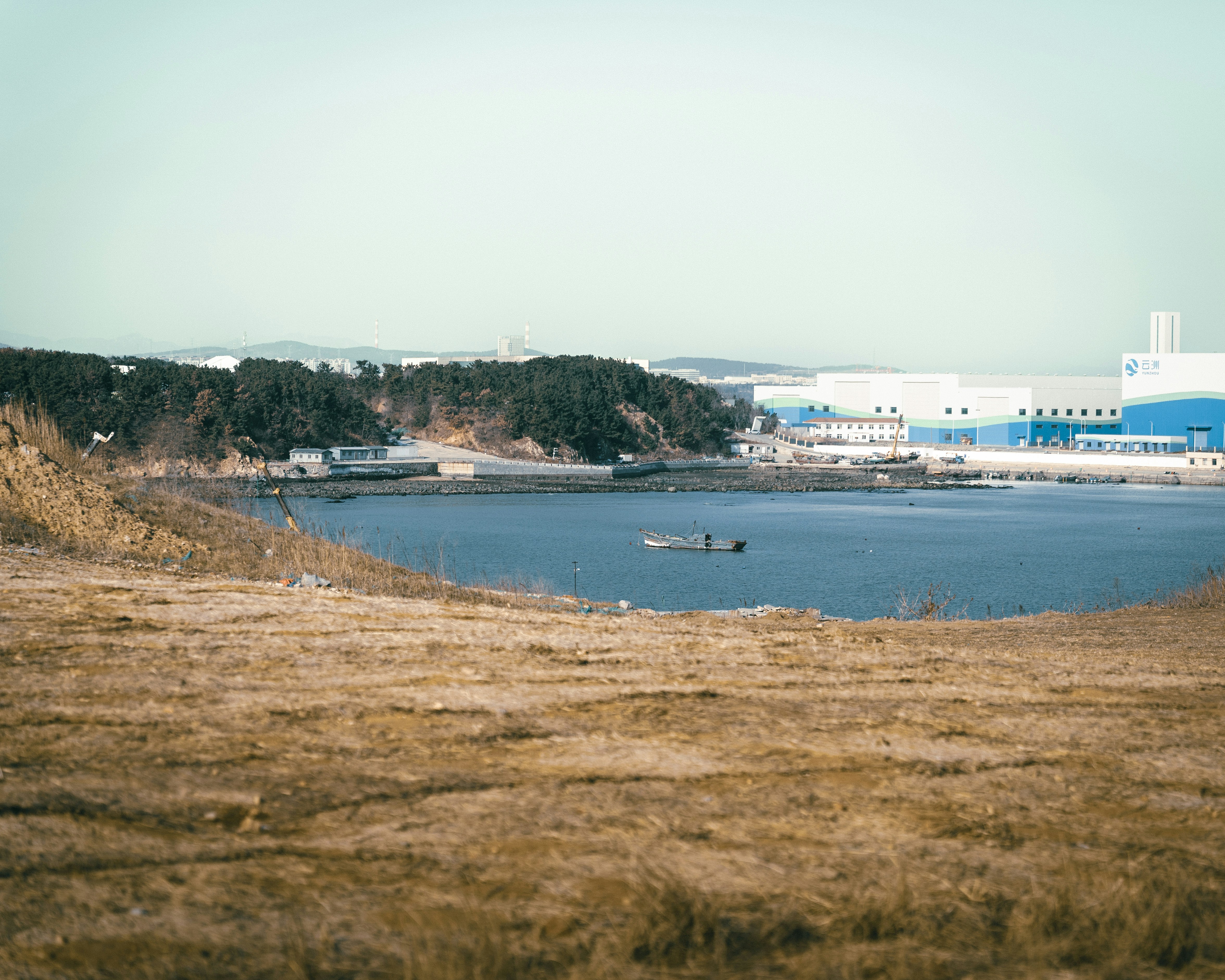 Coastal Industrial Vista from a Wind-Swept Field