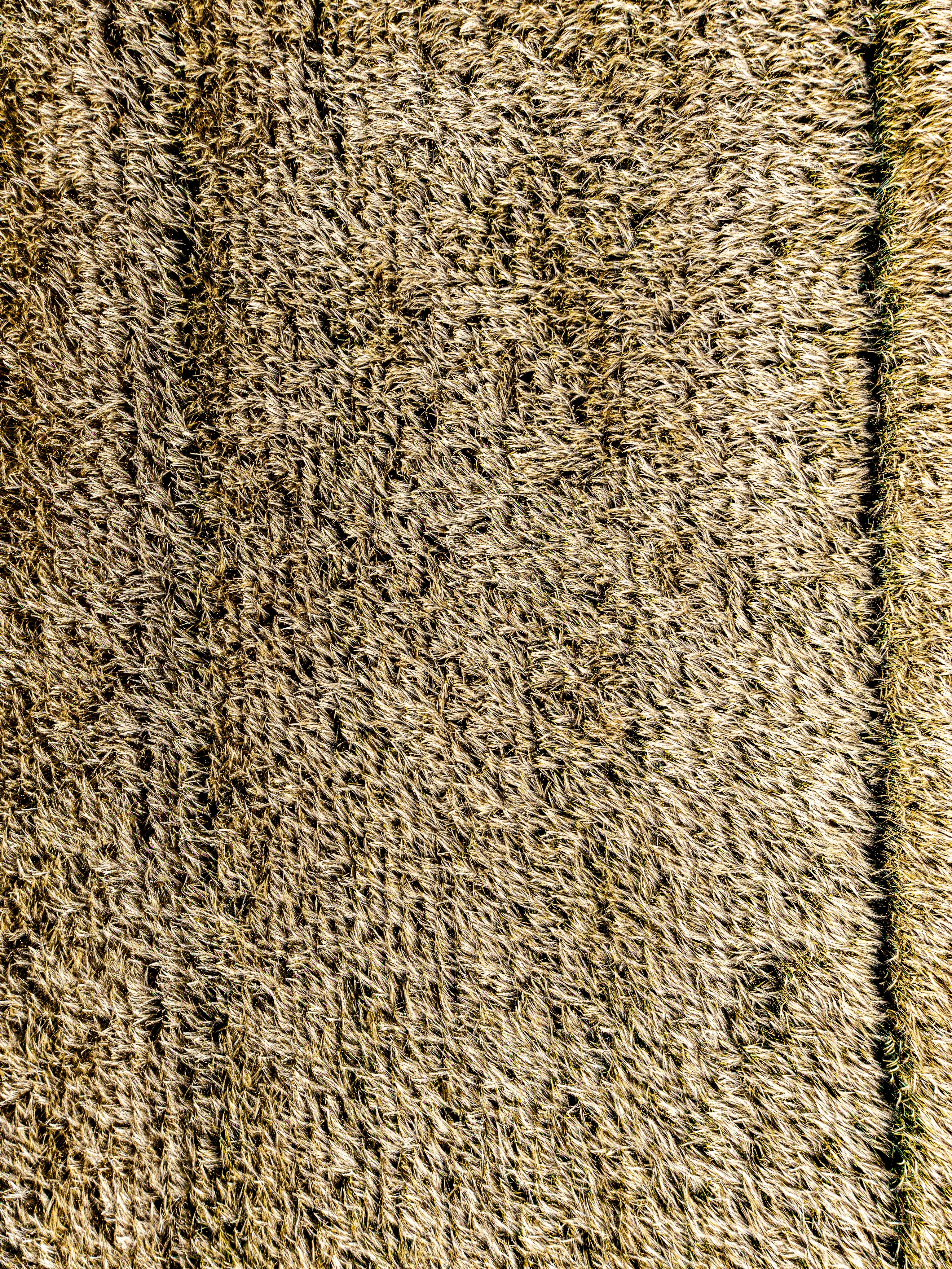 A textured light brown carpet with a distinct seam.