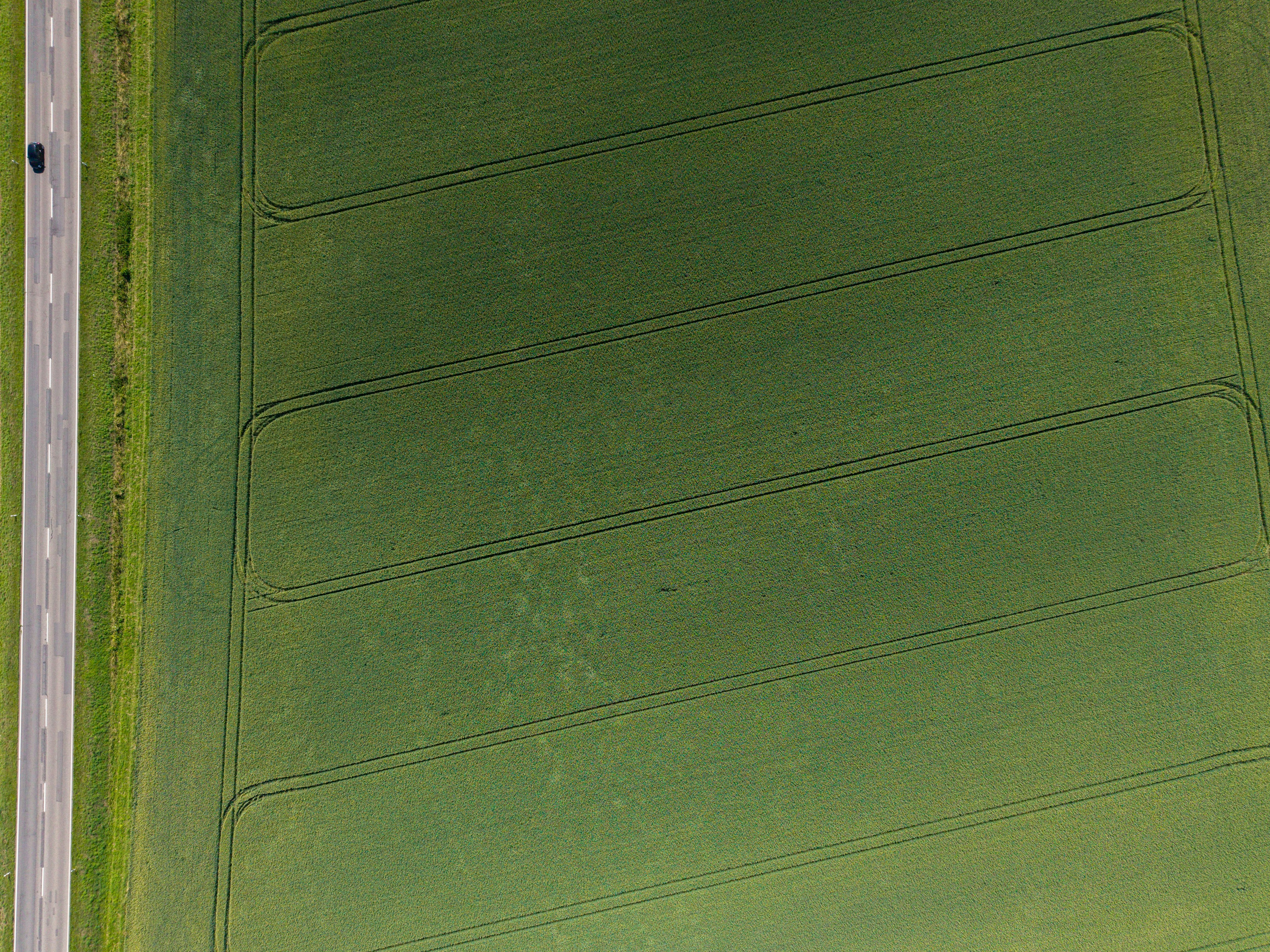 Green field with tractor tracks beside a road and car.